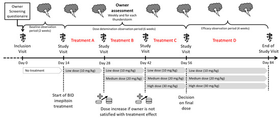 Pilot Study on the Efficacy and Safety of Long-Term Oral Imepitoin ...