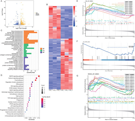 Animals | An Open Access Journal from MDPI