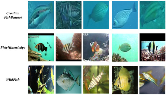 A Metric-Based Few-Shot Learning Method for Fish Species Identification ...