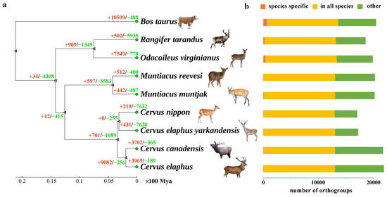 Comparative Genomics Reveal Phylogenetic Relationship and Chromosomal ...