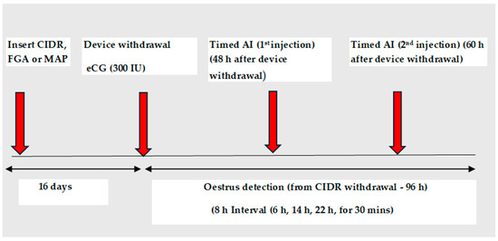 Use of Short-Term CIDR-Based Protocols for Oestrus Synchronisation in ...