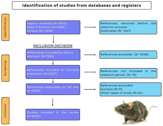 Global Overview of Environmental Enrichment Studies: What Has Been Done ...