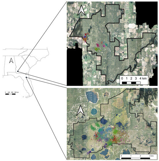 Next-Generation Remote Sensing Data at Multiple Spatial Scales Improves ...