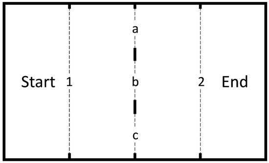 Wistar Male Rats (Rattus norvegicus domestica) Are Aware of Their ...