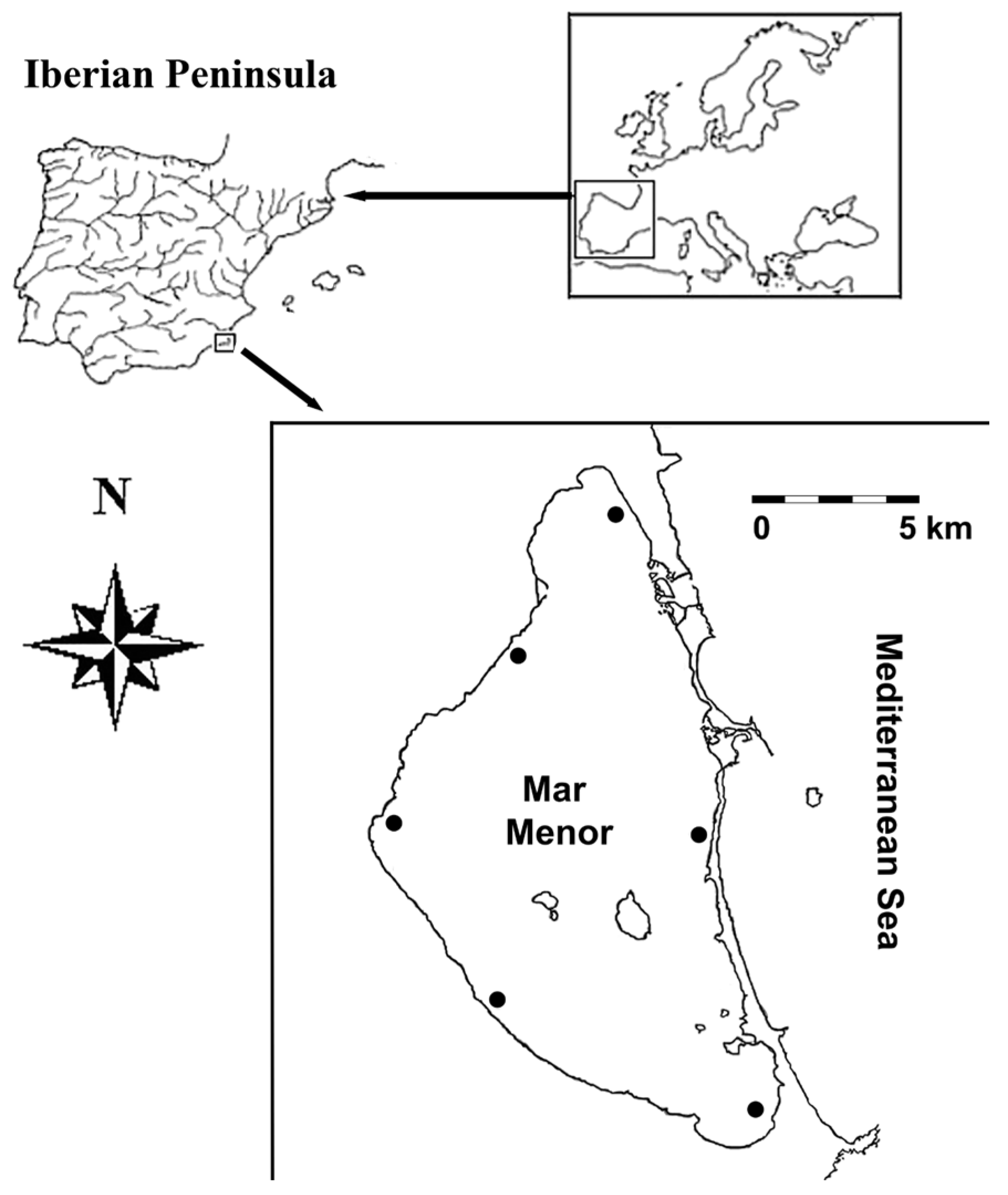Effects of Genetic Diversity on Health Status and Parasitological ...