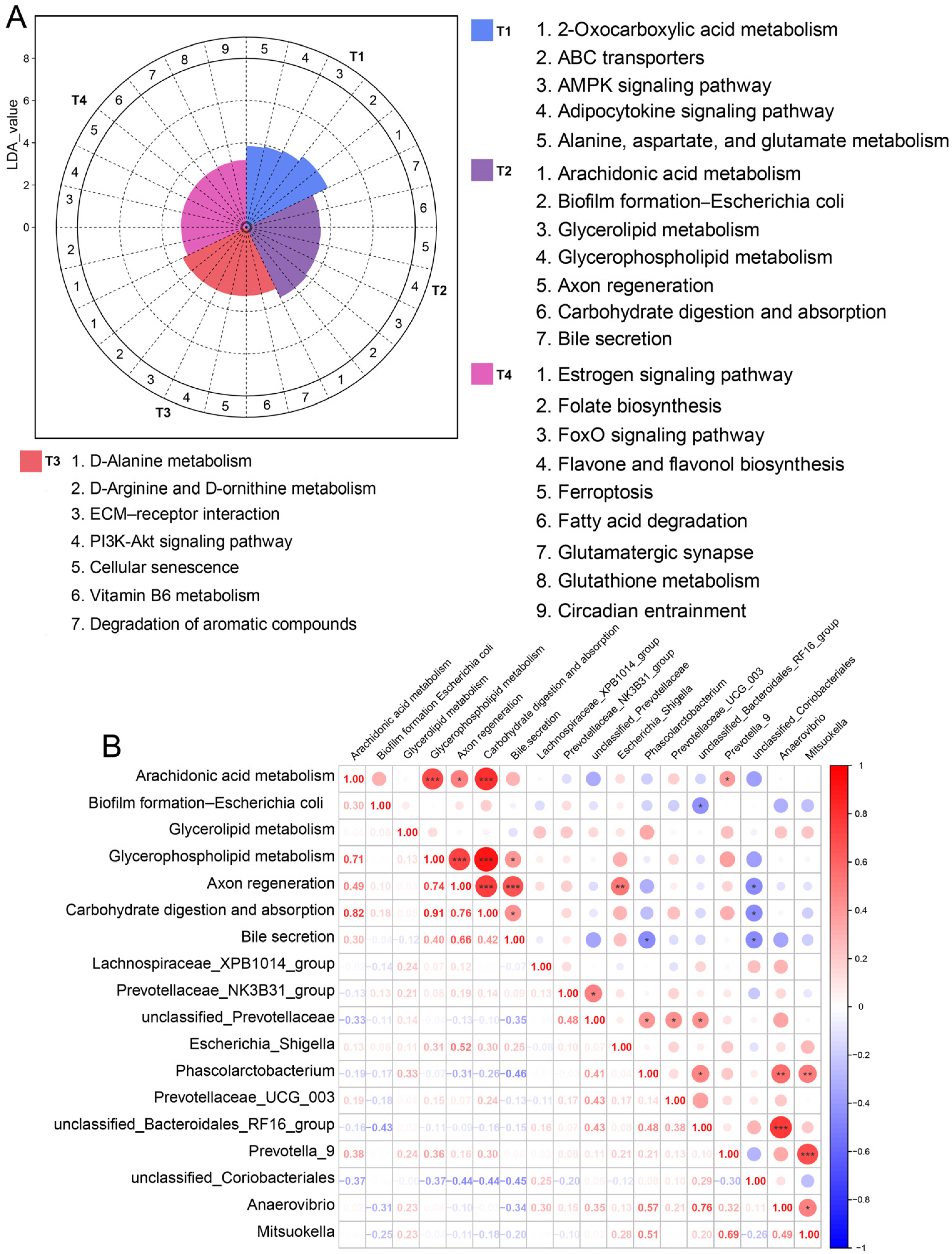 Temporal Dynamics of Fecal Microbiome and Short-Chain Fatty Acids in ...