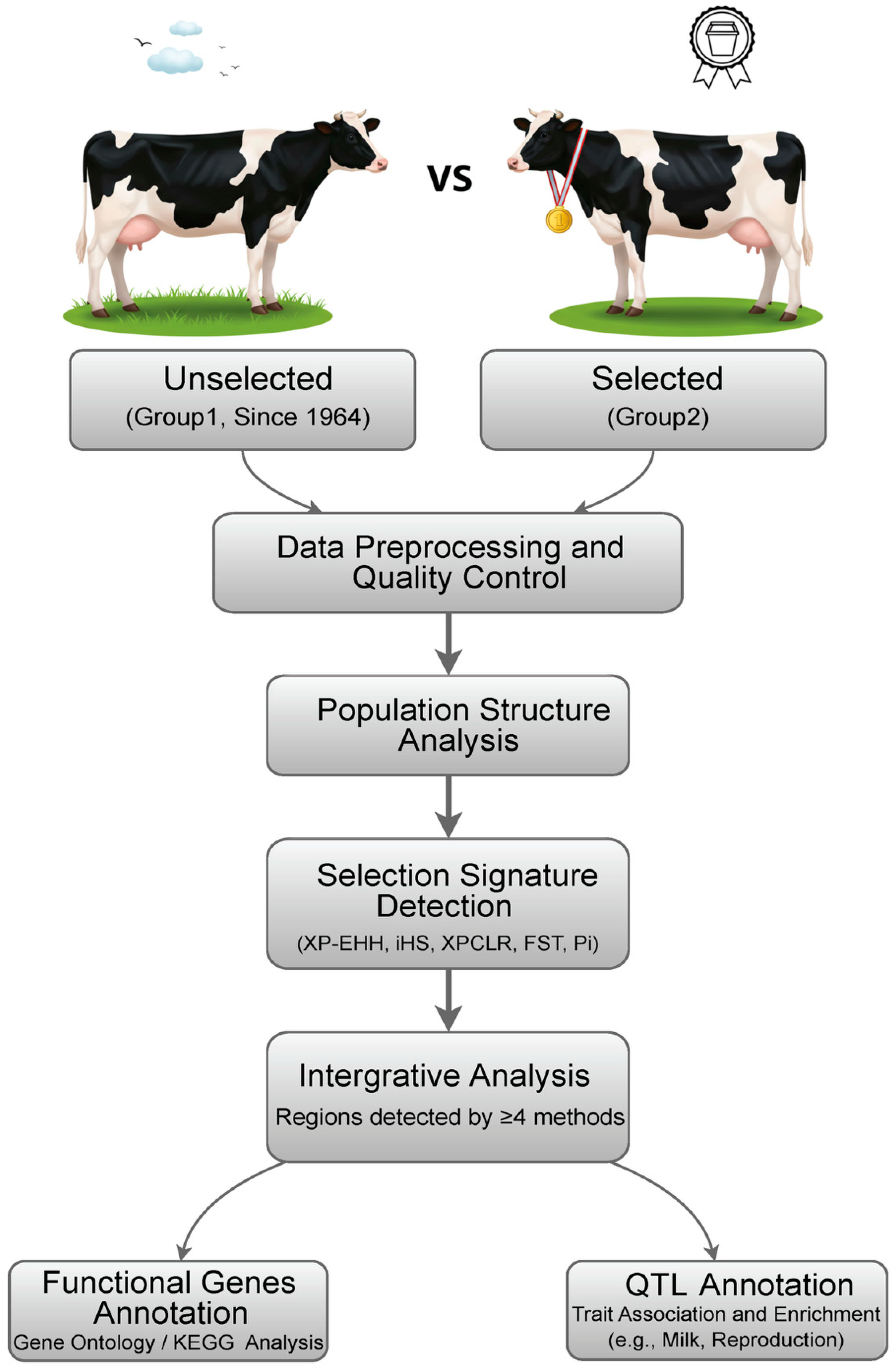 Selection Signature Analysis of Whole-Genome Sequences to Identify ...