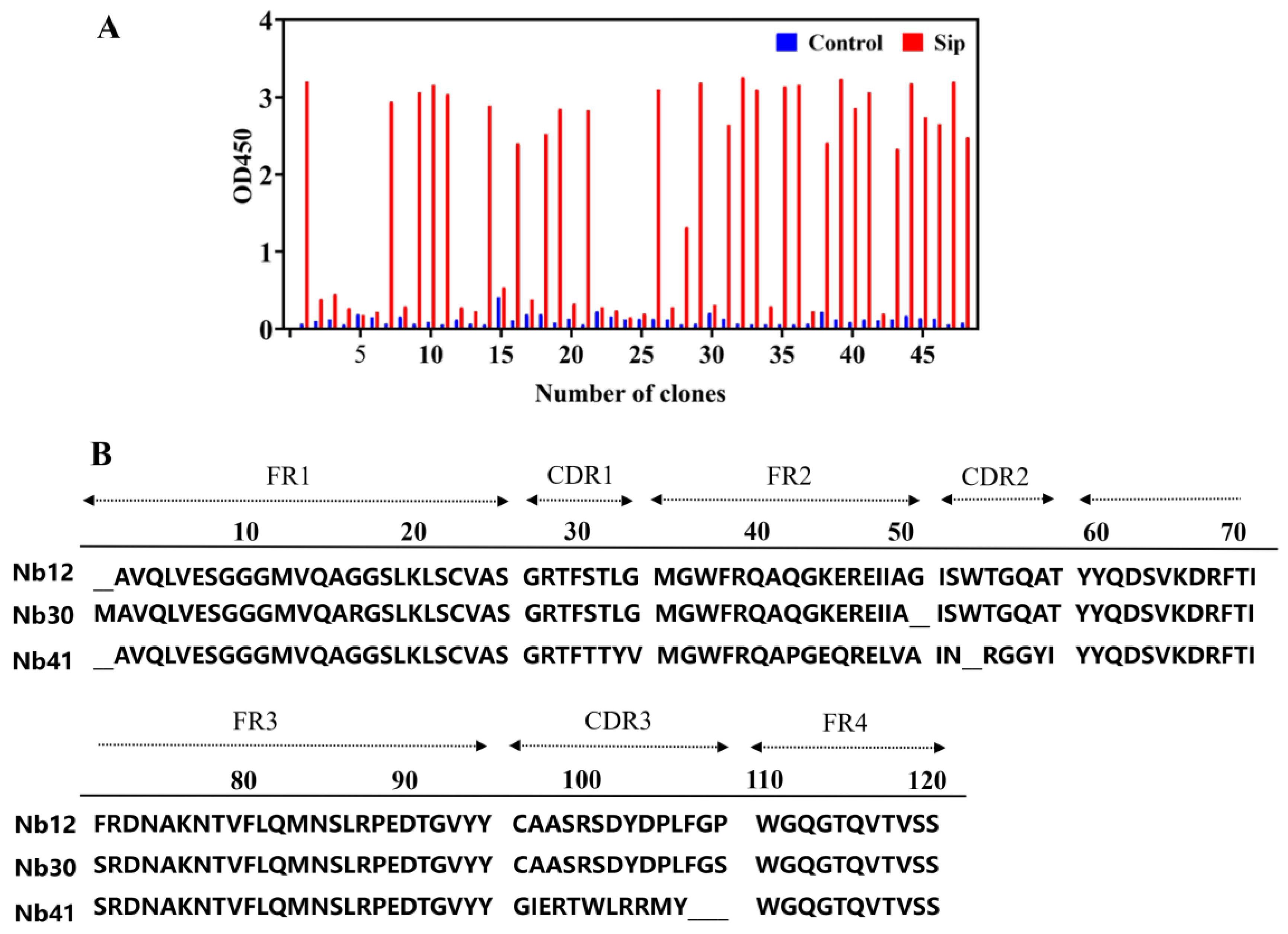 Protective Effect of Nanobodies Targeting Sip Protein Against ...