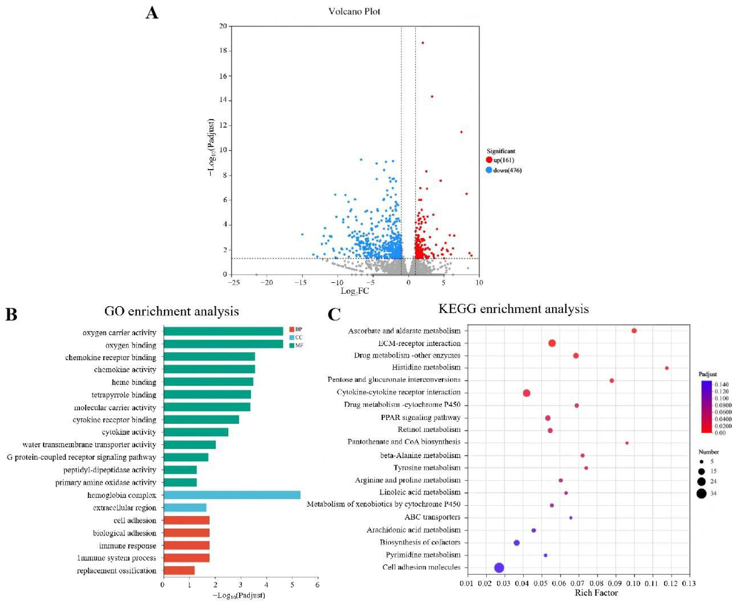 Protective Effect of Nanobodies Targeting Sip Protein Against ...