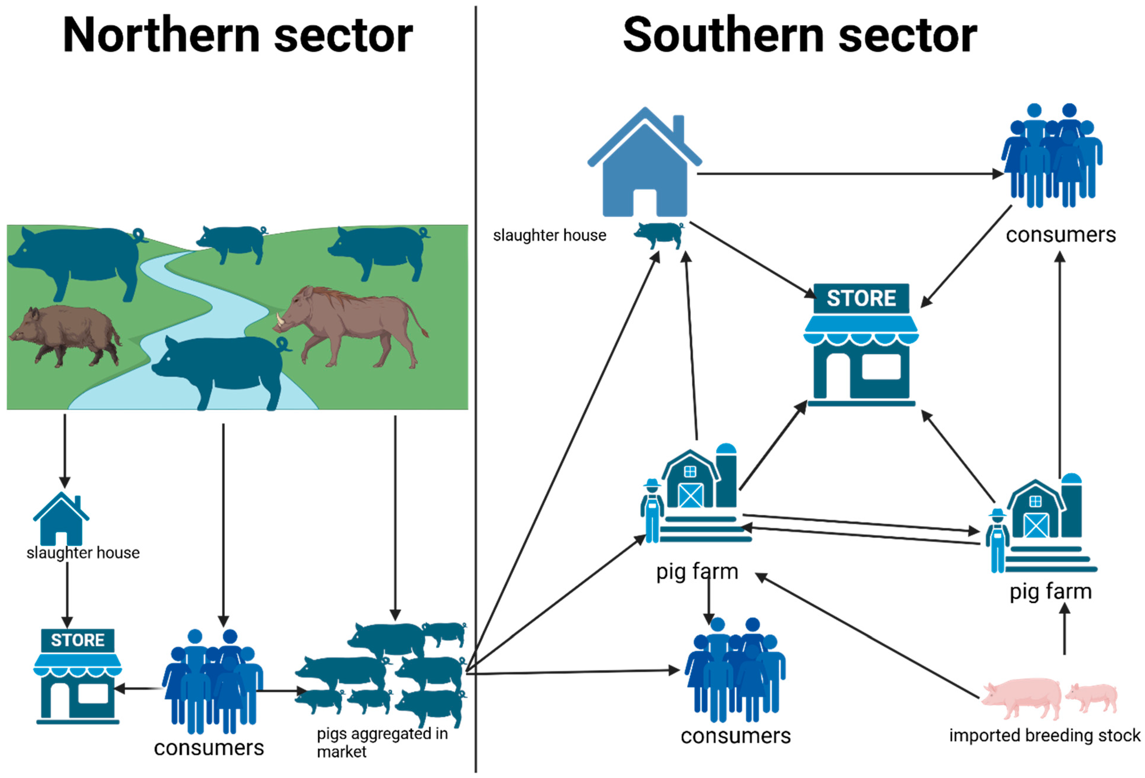 The Complexities of African Swine Fever Diagnosis and Control in the ...