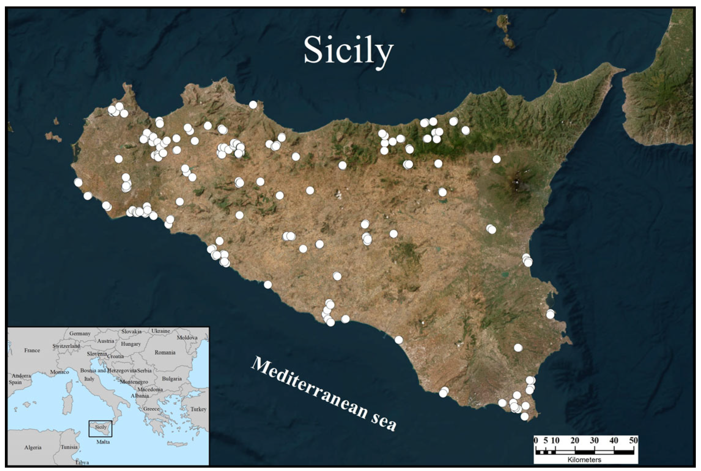 Environmental Suitability of the Sicilian Pond Turtle (Emys trinacris ...