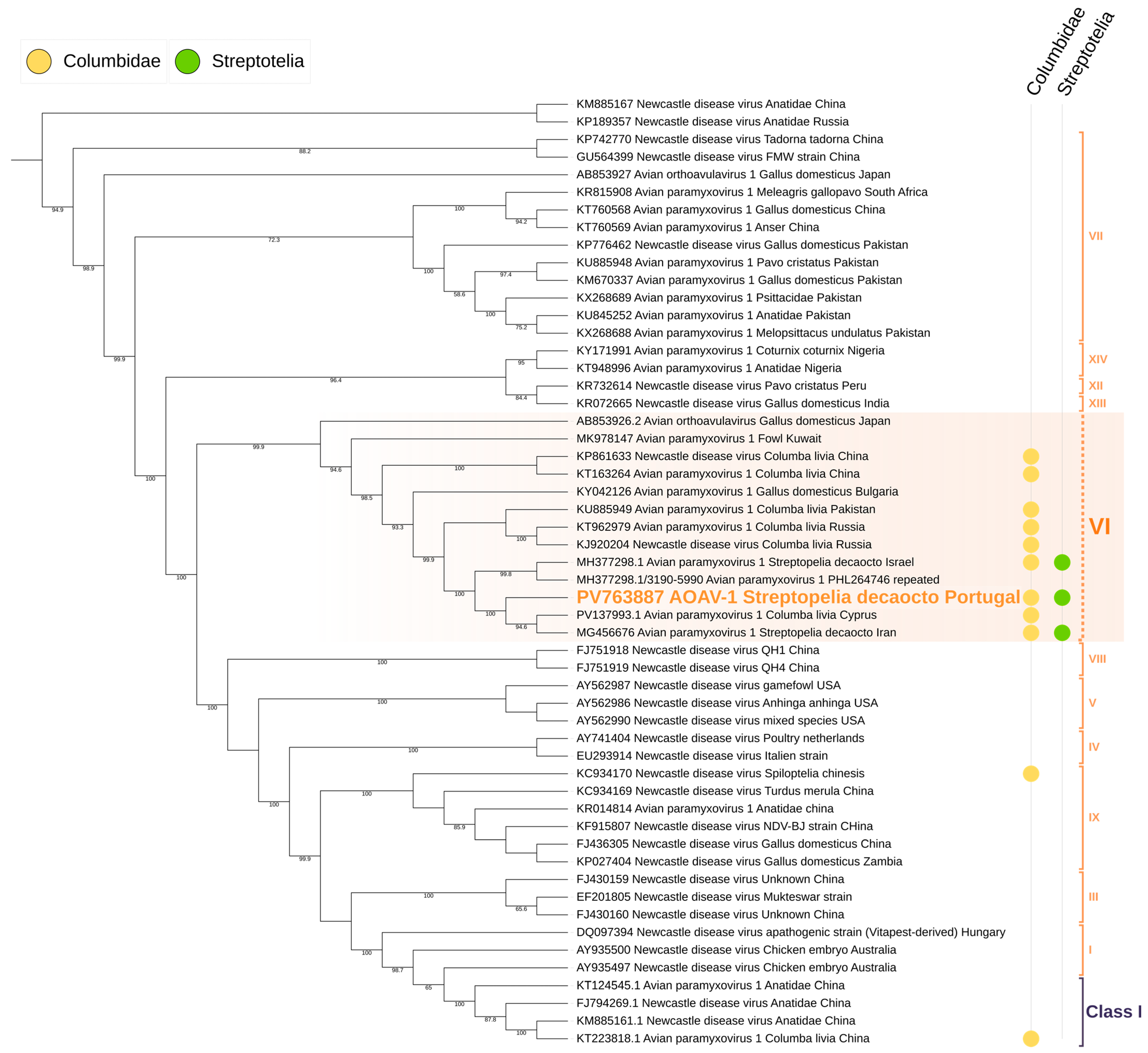 Highly Virulent Newcastle Disease Virus in Eurasian Collared Doves in ...