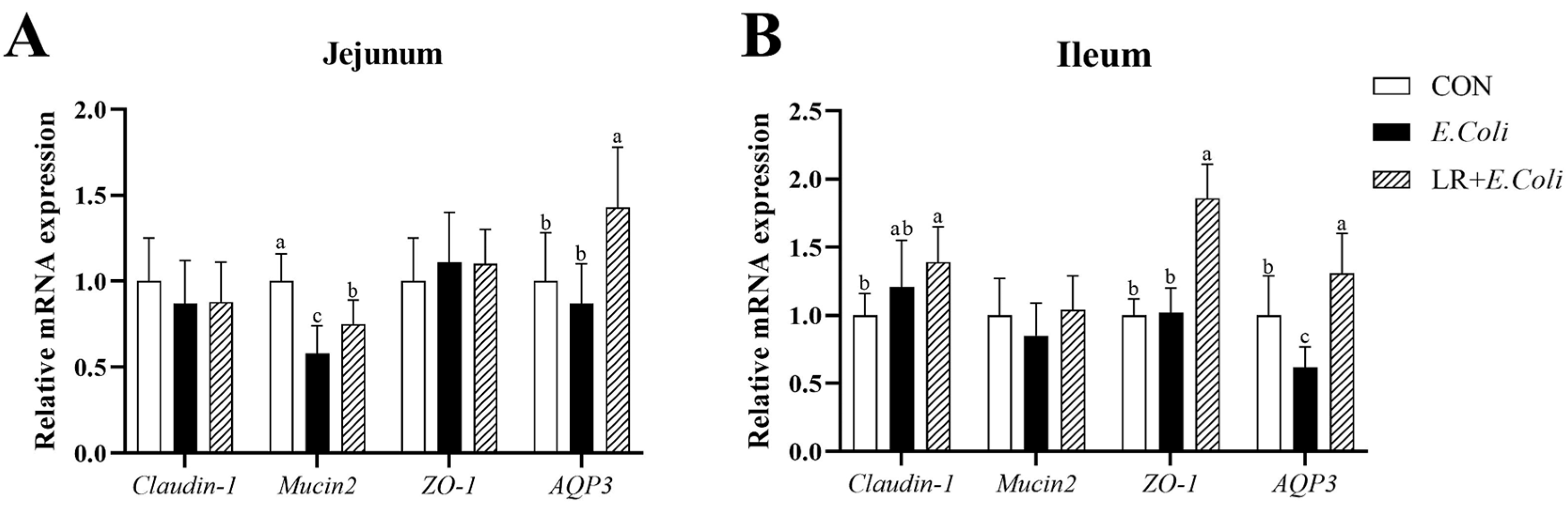 Effect of Lactobacillus reuteri Postbiotics on Growth Performance and ...