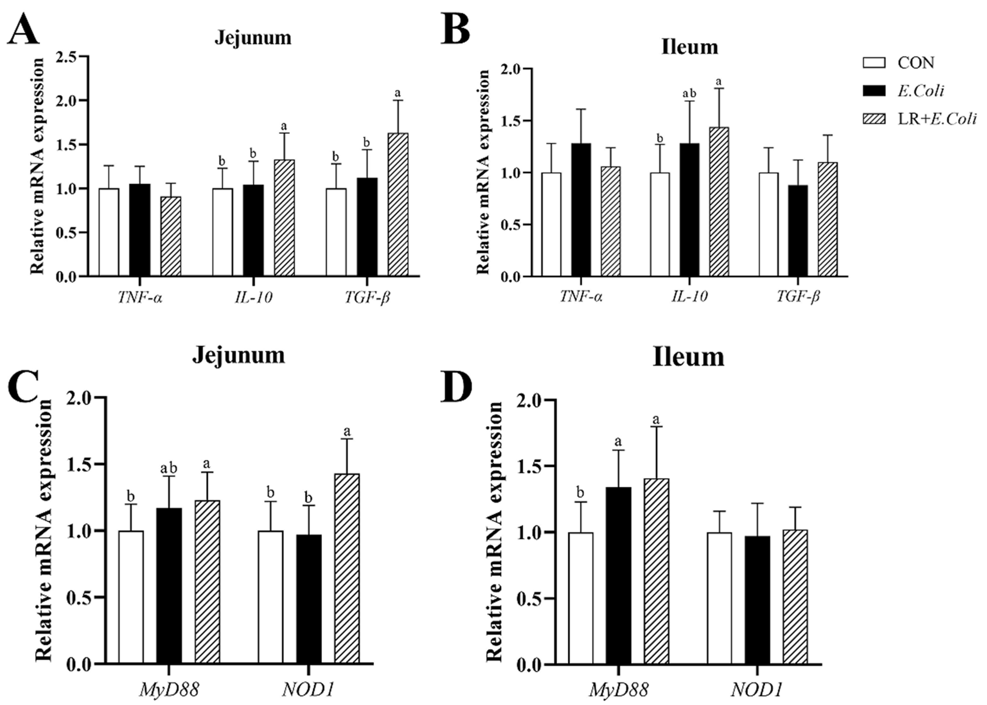Effect of Lactobacillus reuteri Postbiotics on Growth Performance and ...
