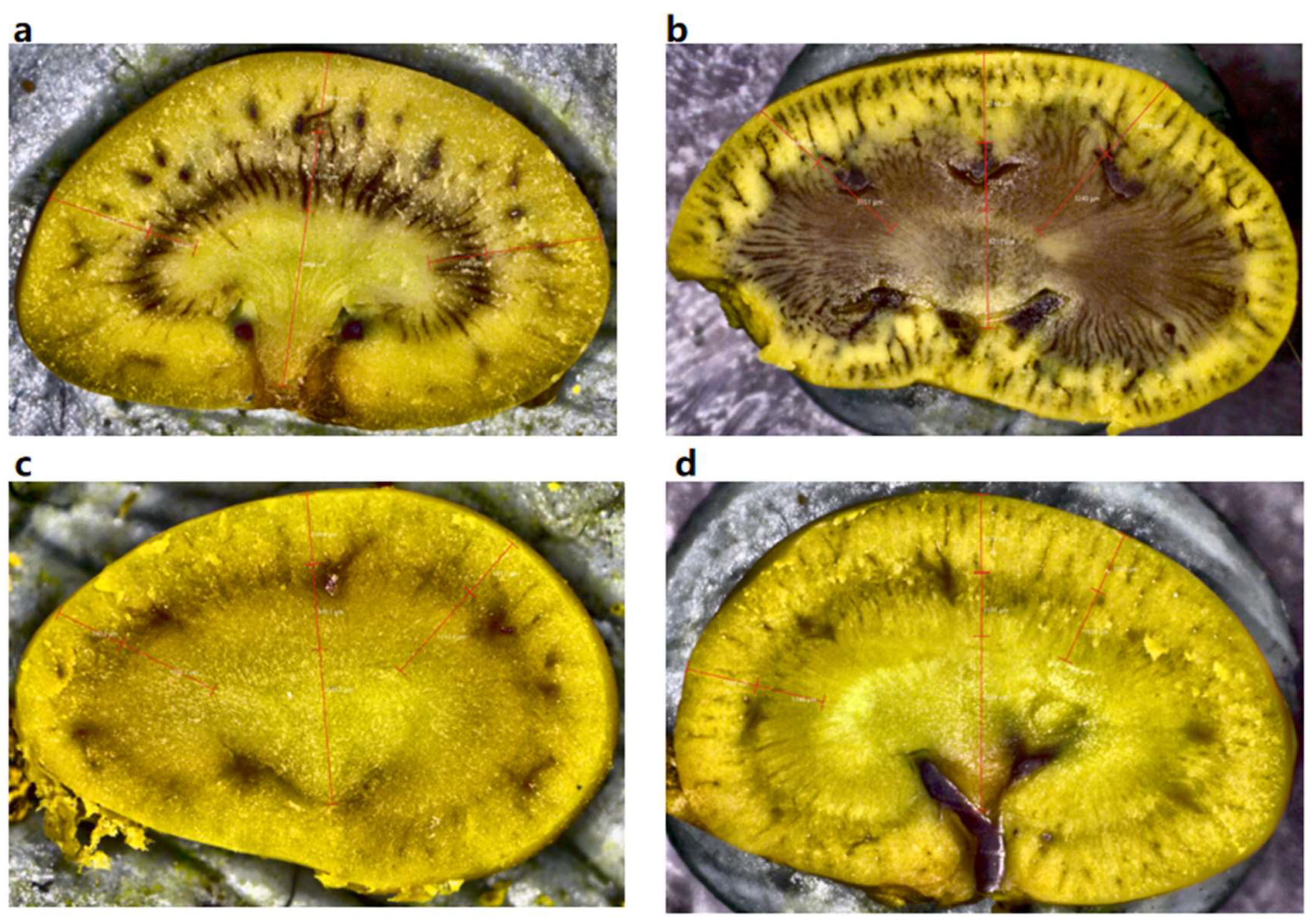Community-Level Phenotypic Adaptations of Small Mammals Under Rain ...