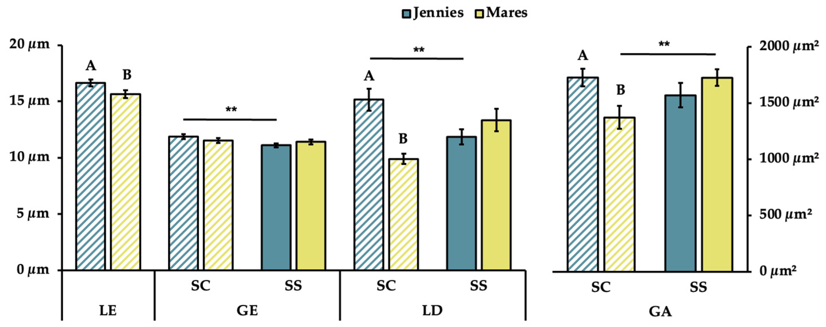 Histomorphometric Analysis of the Endometrium of Jennies (Equus asinus ...