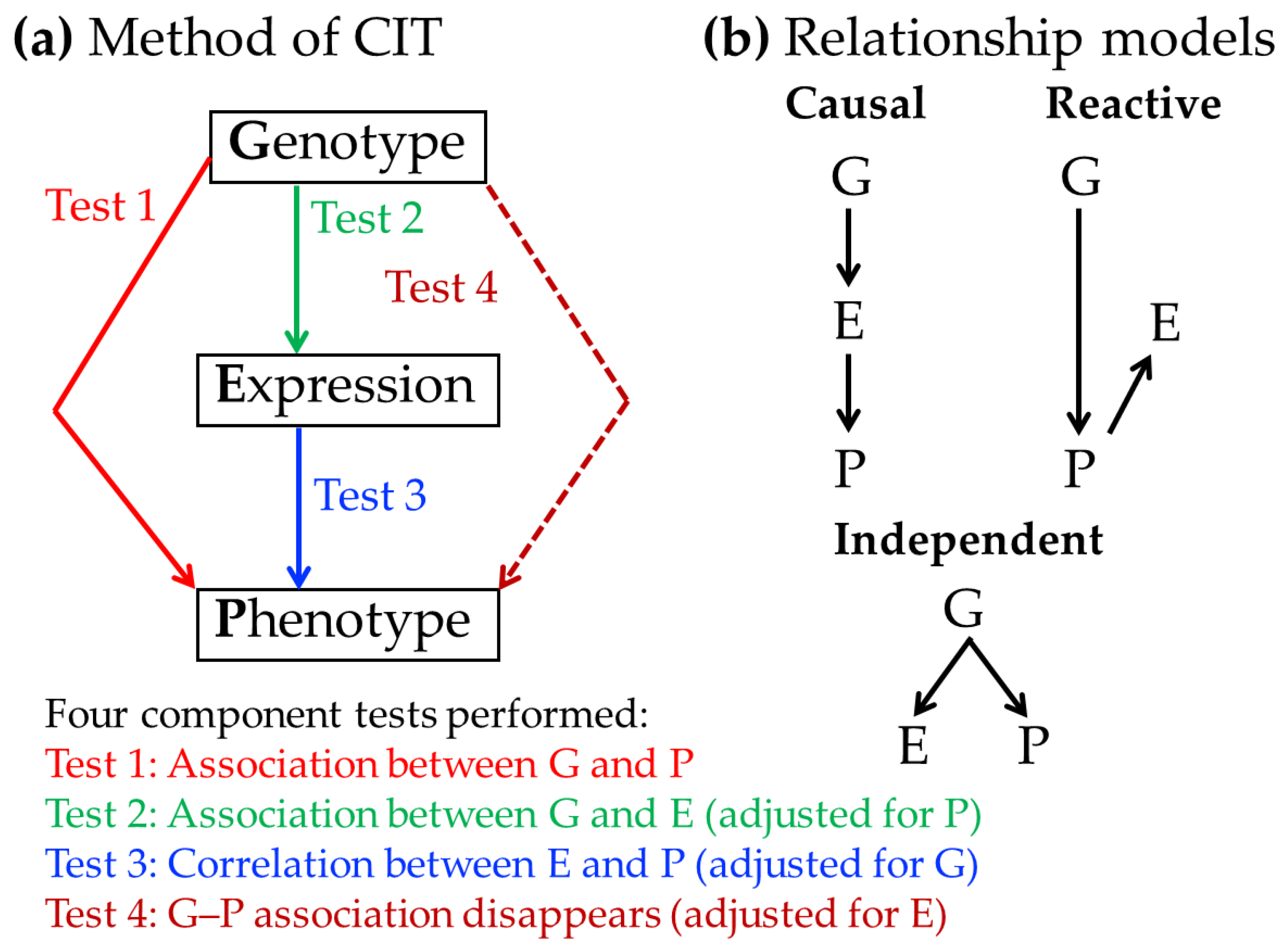 An Integrative Genetic Strategy for Identifying Causal Genes at ...
