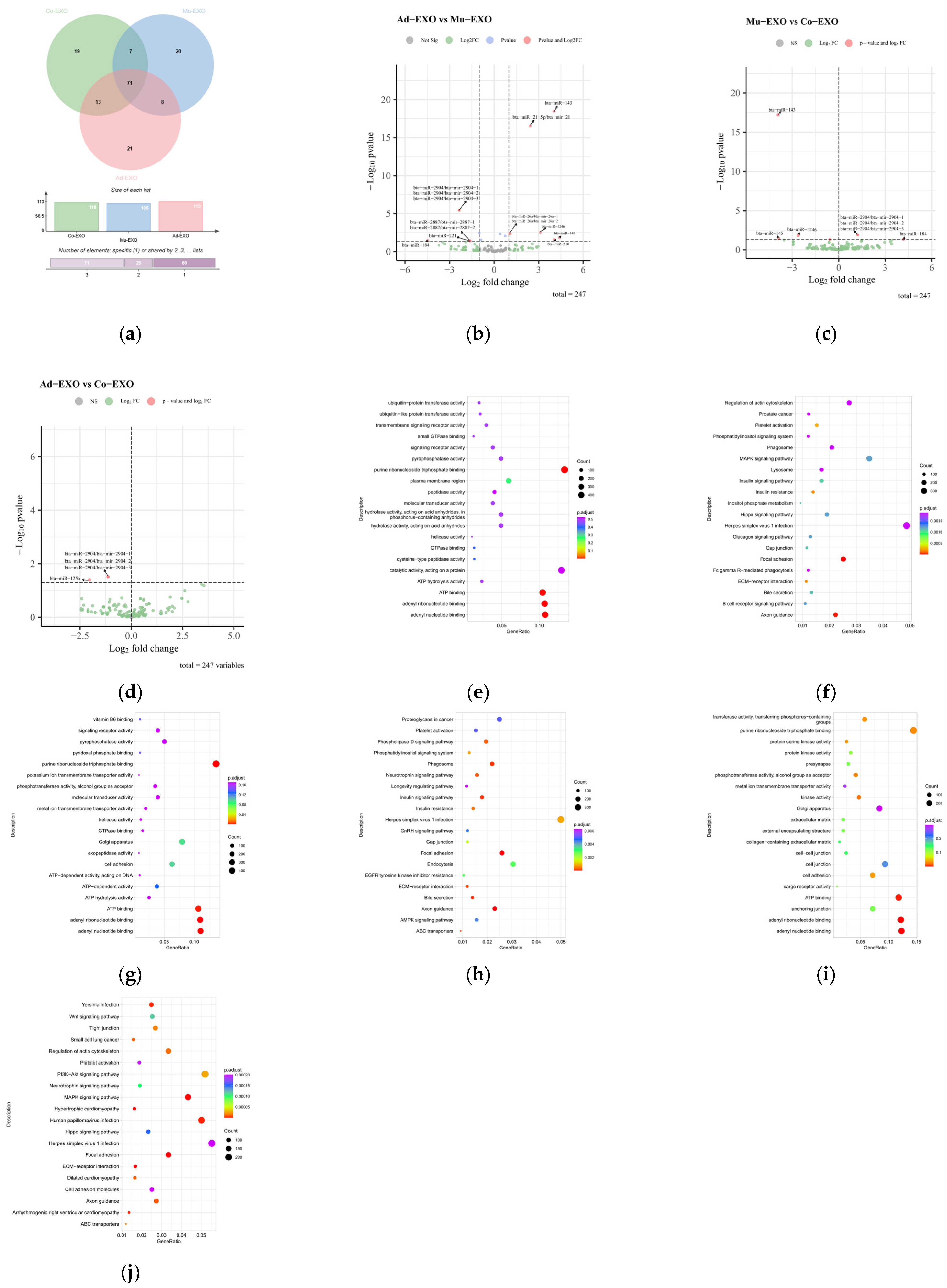 Bovine Muscle Satellite Cell-Derived Exosomes Modulate Preadipocyte ...