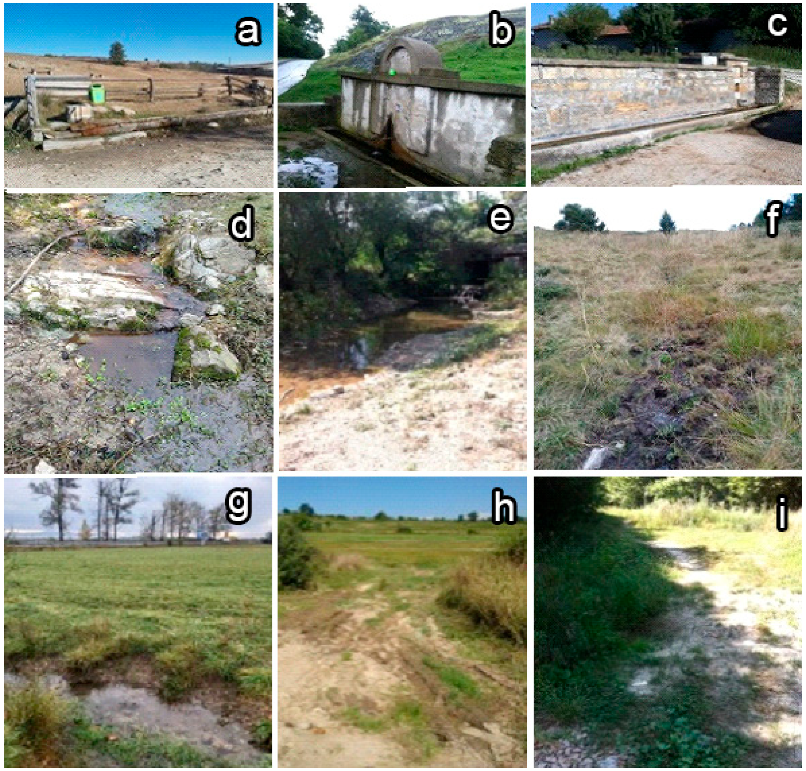 Galba truncatula: Distribution, Presence in Fountains and ...