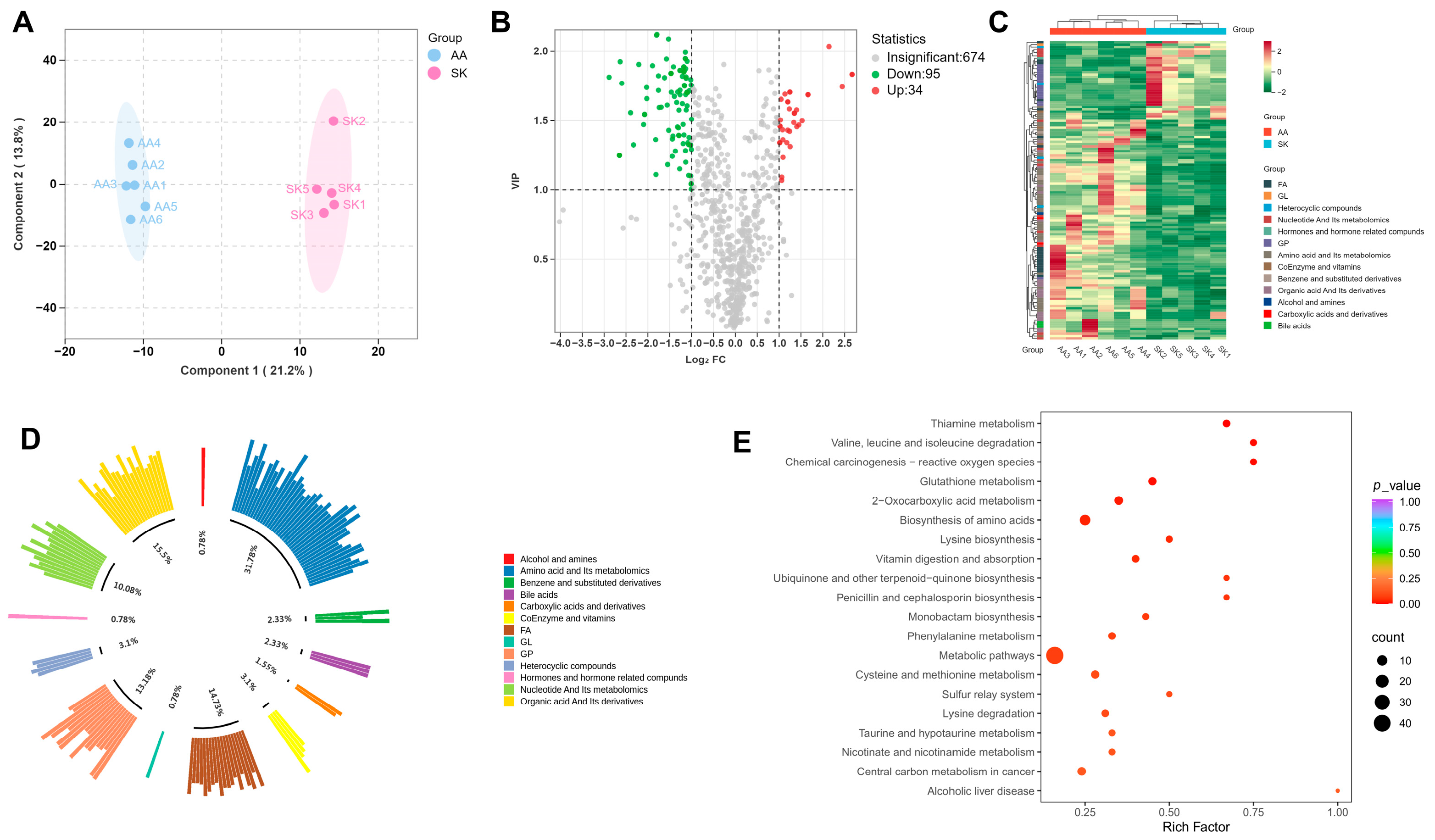 Transcriptional and Metabolic Networks Underlying Melanin Deposition in ...