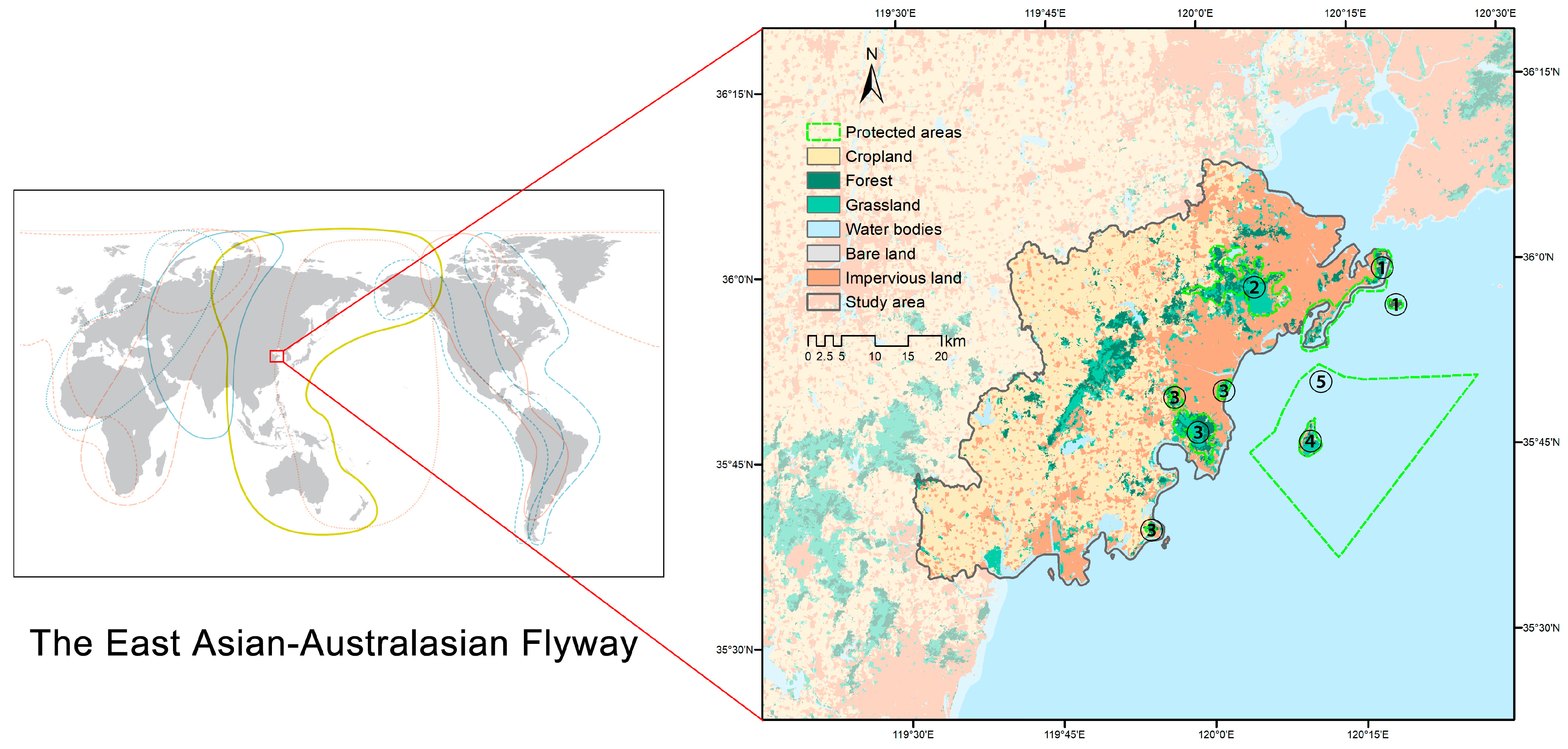 Delineating Bird Ecological Networks in Coastal Areas Based on Seasonal ...