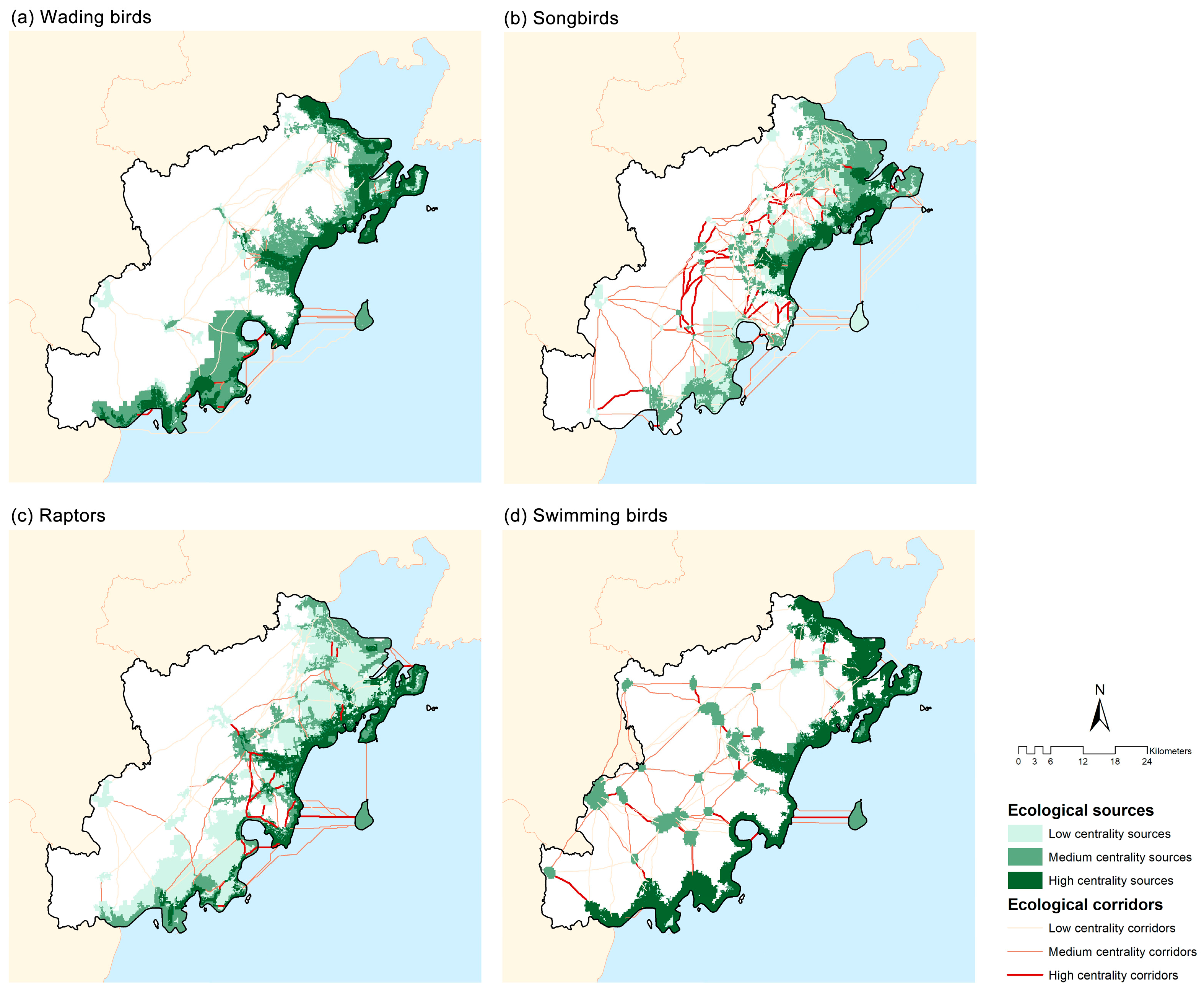 Delineating Bird Ecological Networks in Coastal Areas Based on Seasonal ...