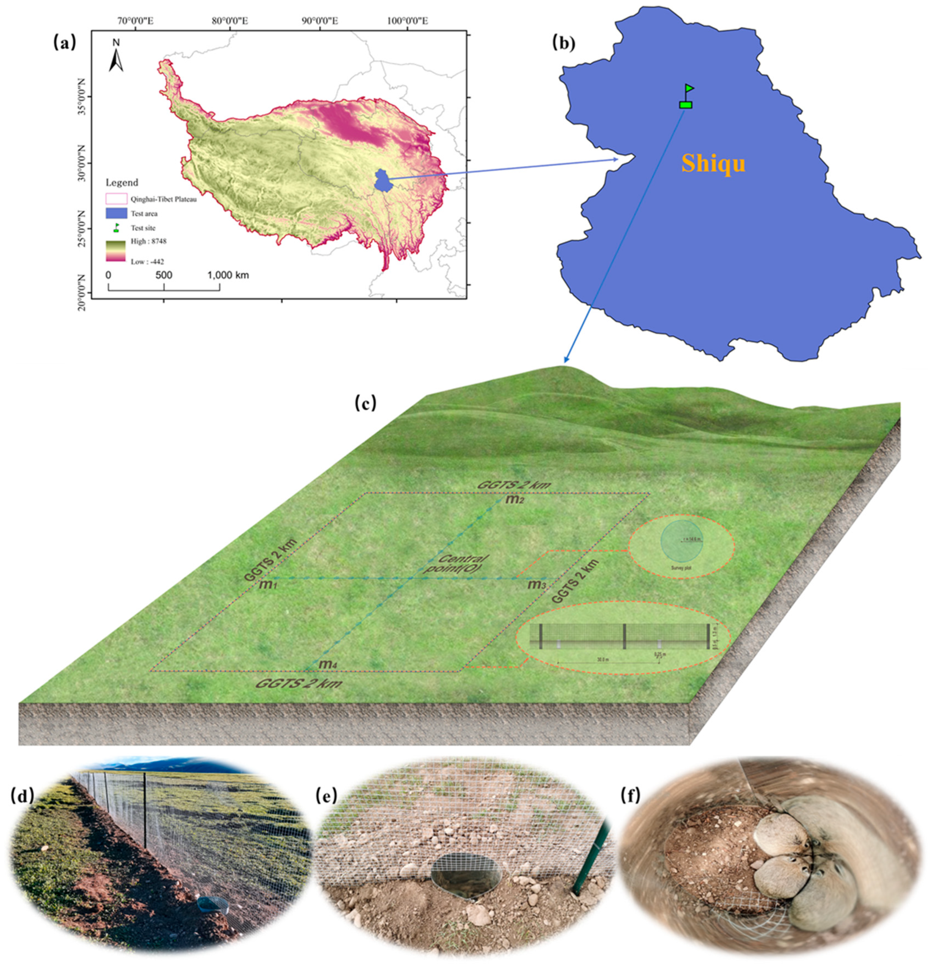 Capturing Mechanism and Sustainable Control of Plateau Pika (Ochotona ...