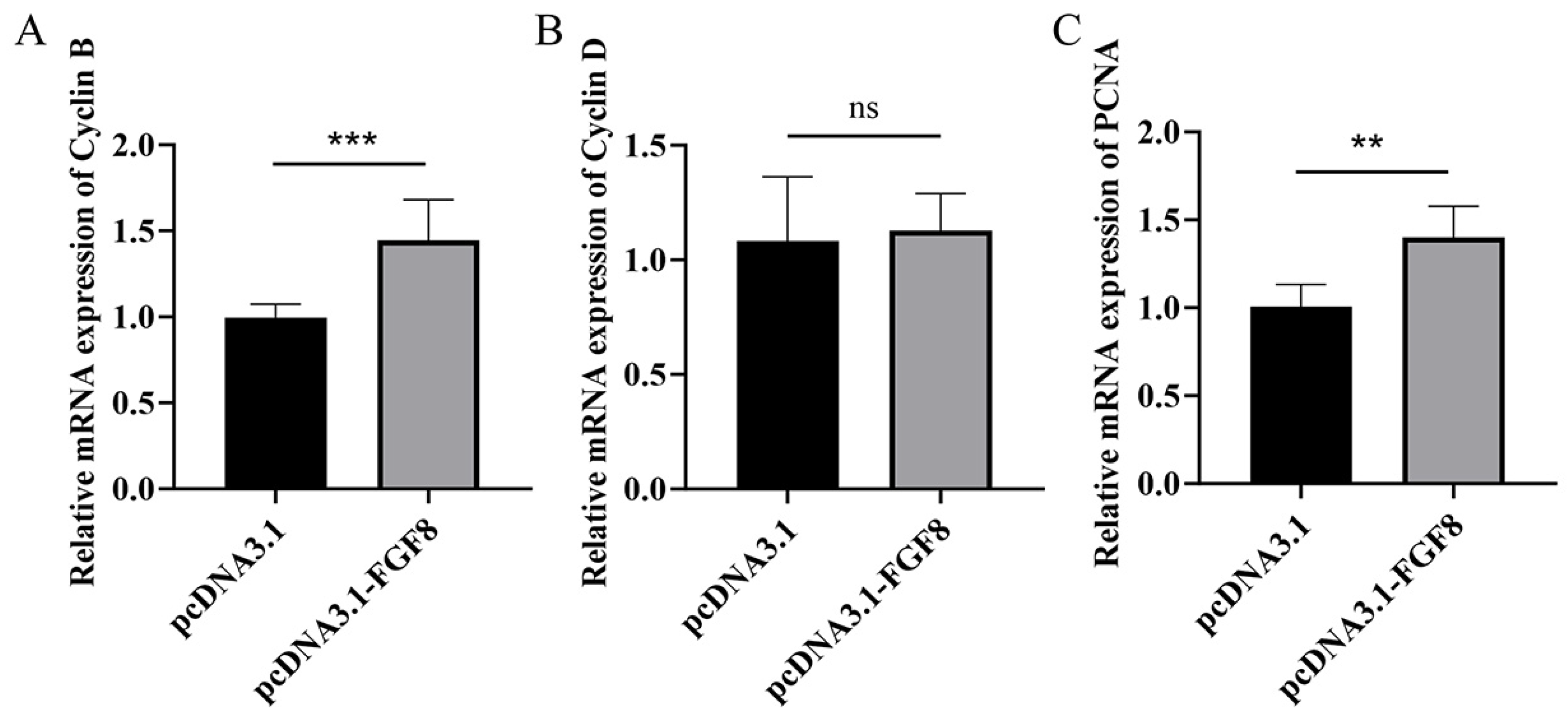 The Influence of the FGF8 Gene on the Proliferation and Differentiation ...