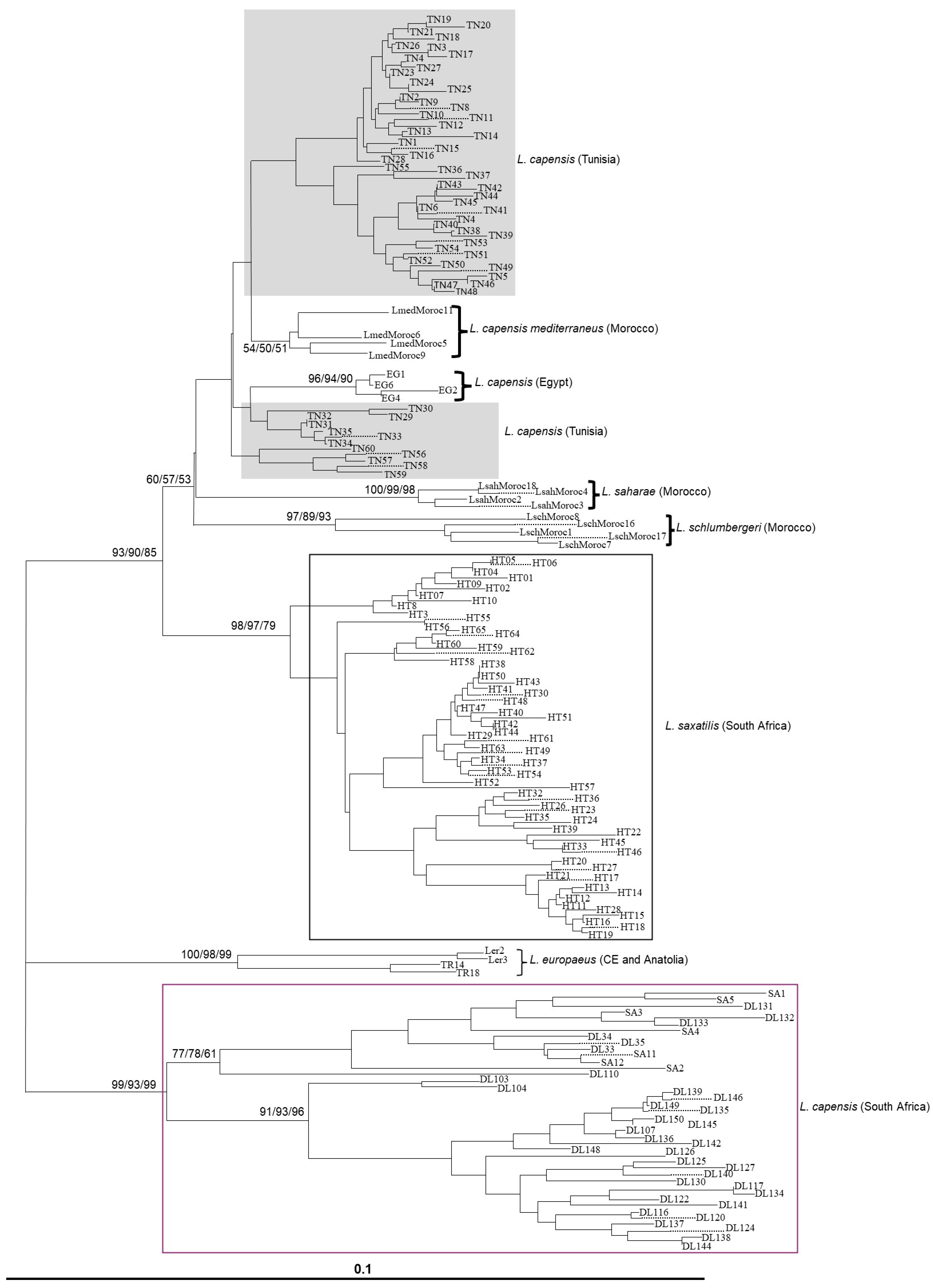 Coats of Variable Hue in Tunisian Hares (Genus Lepus): Population ...