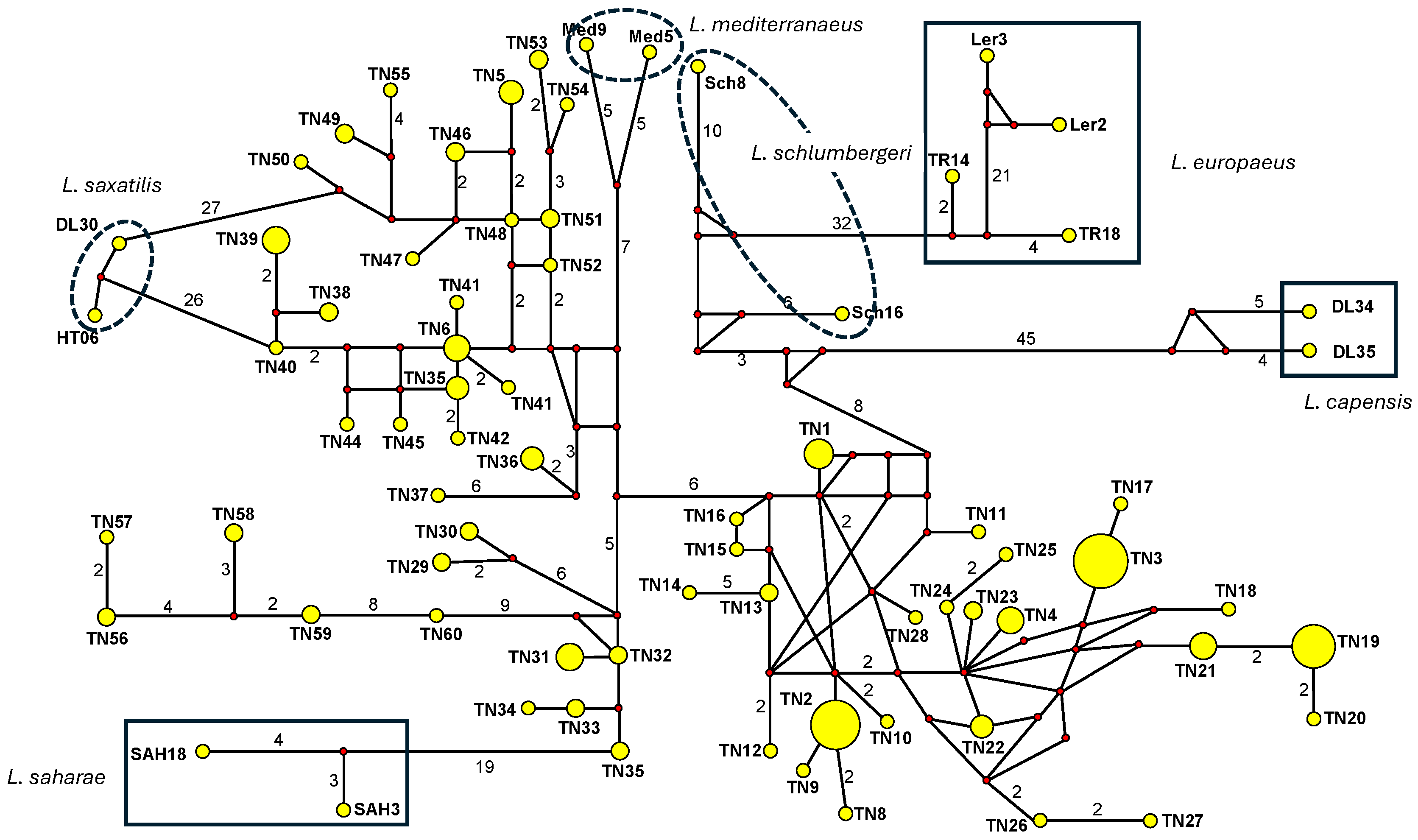 Coats of Variable Hue in Tunisian Hares (Genus Lepus): Population ...