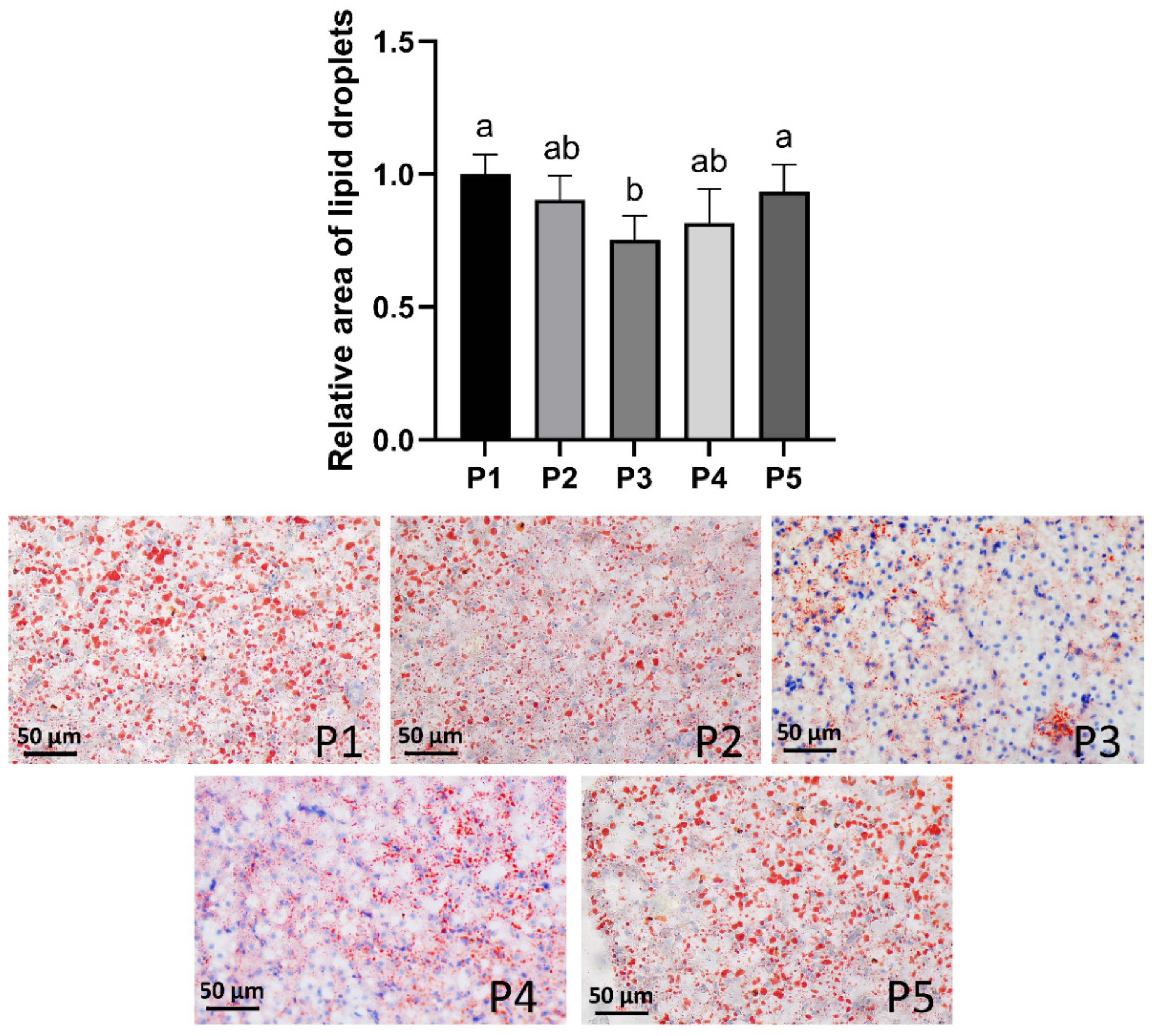 Dietary Protein Requirement of Juvenile Tor sinensis Based on Growth ...