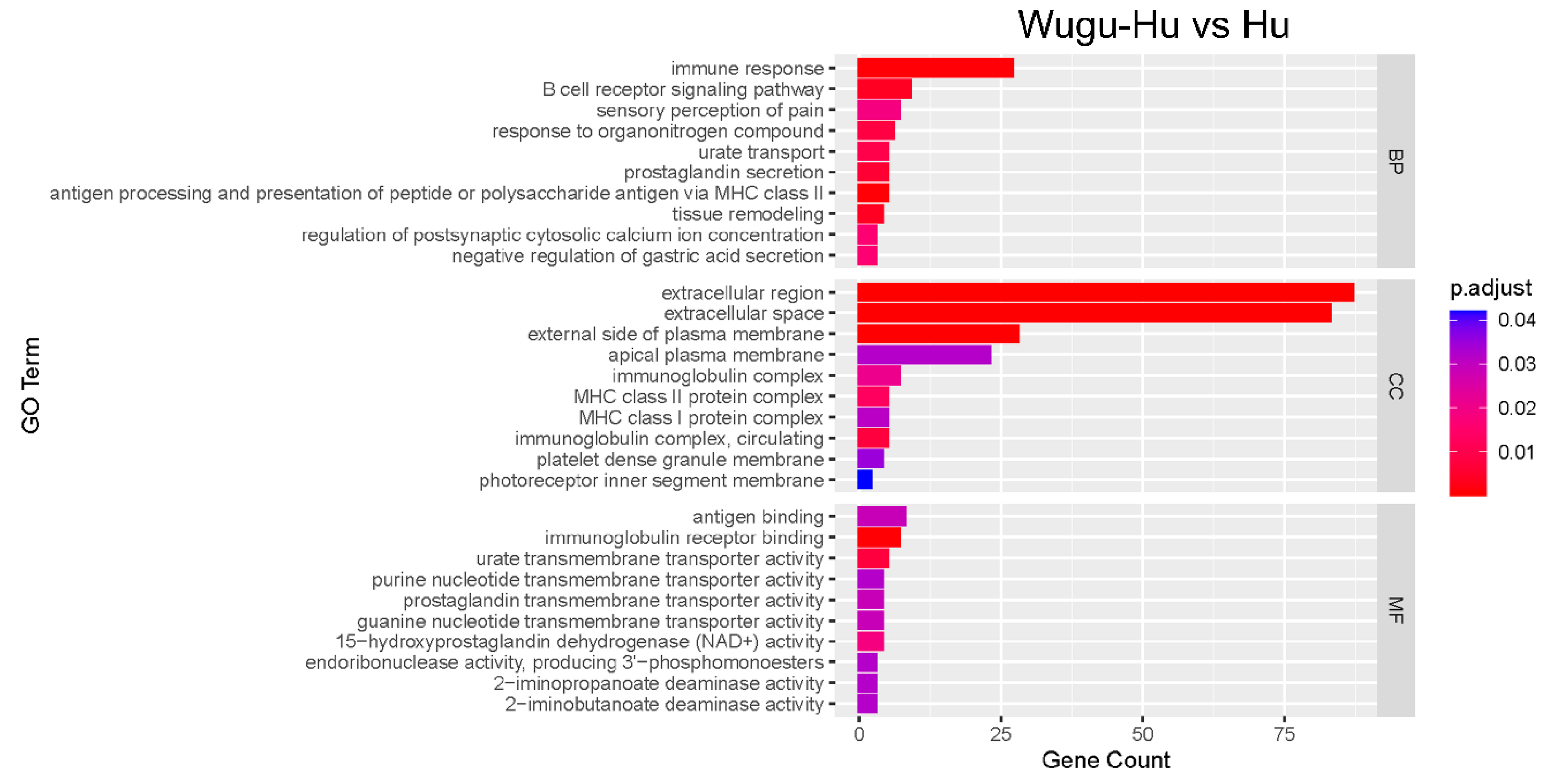 A Follow-Up Study on Testicular Cellular and Transcriptomic Responses ...