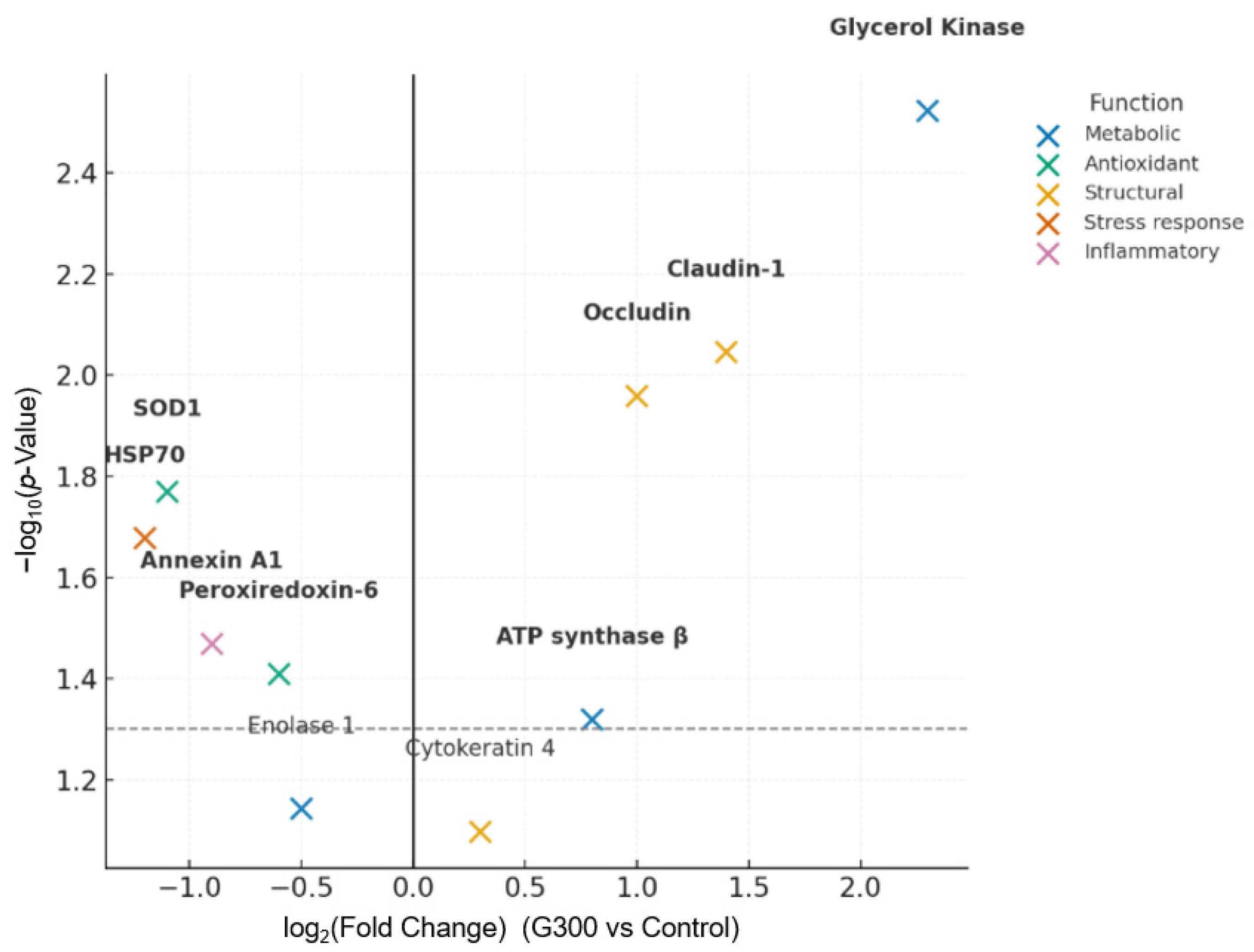 Crude Glycerin Modulates the Proteomic Profile and Epithelial ...