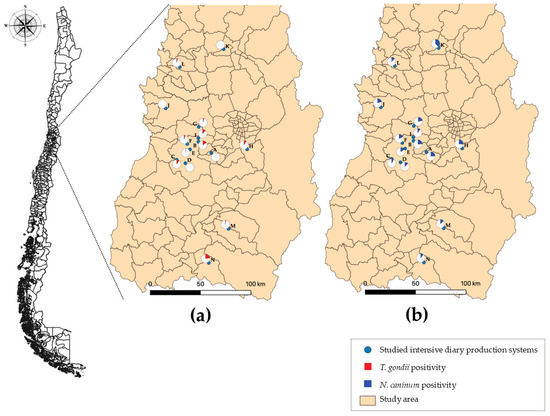 Seropositivity and Risk Factors for Toxoplasma gondii and Neospora ...