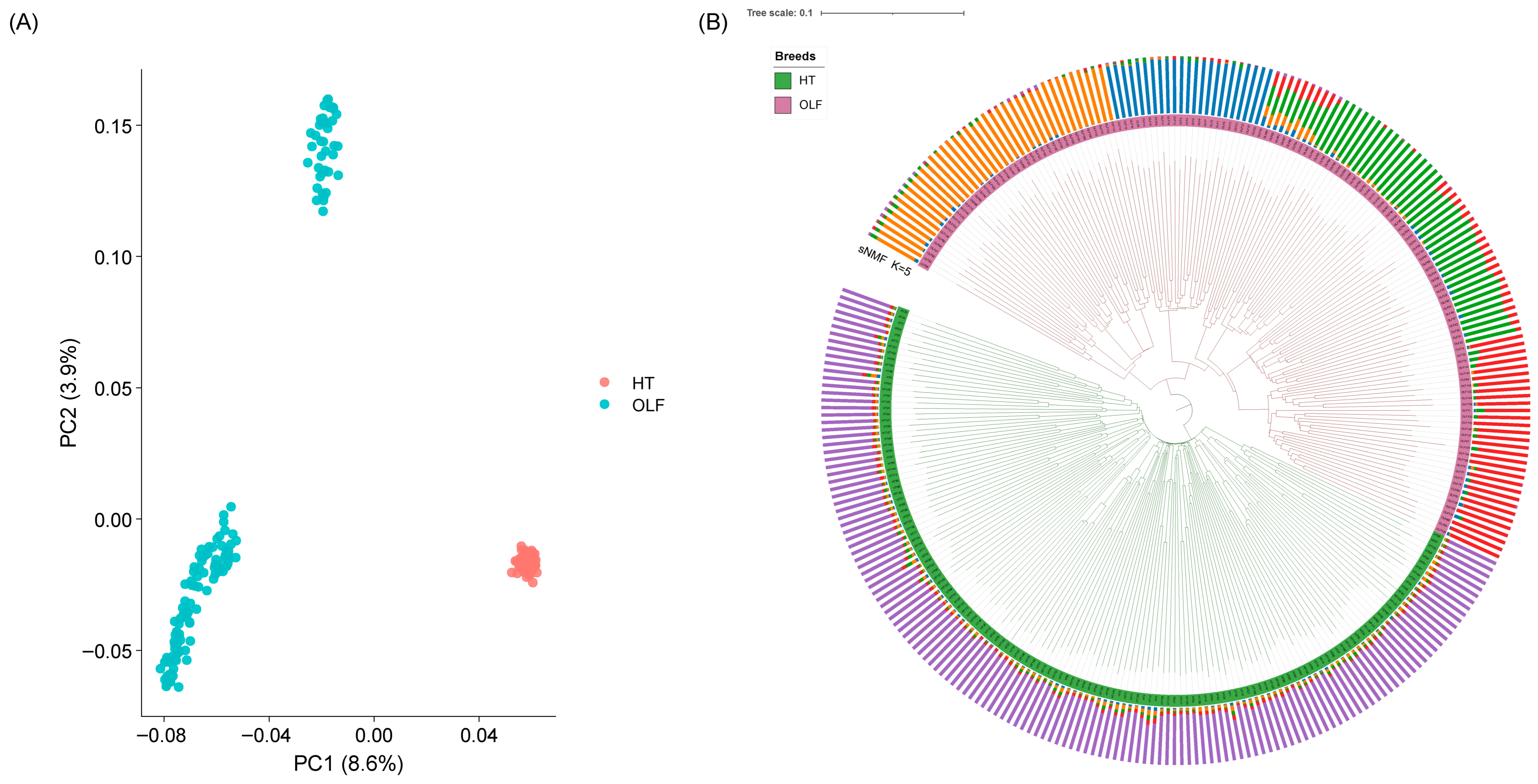 Selection Signatures and Genetic Divergence in Hotan Black and F2 ...