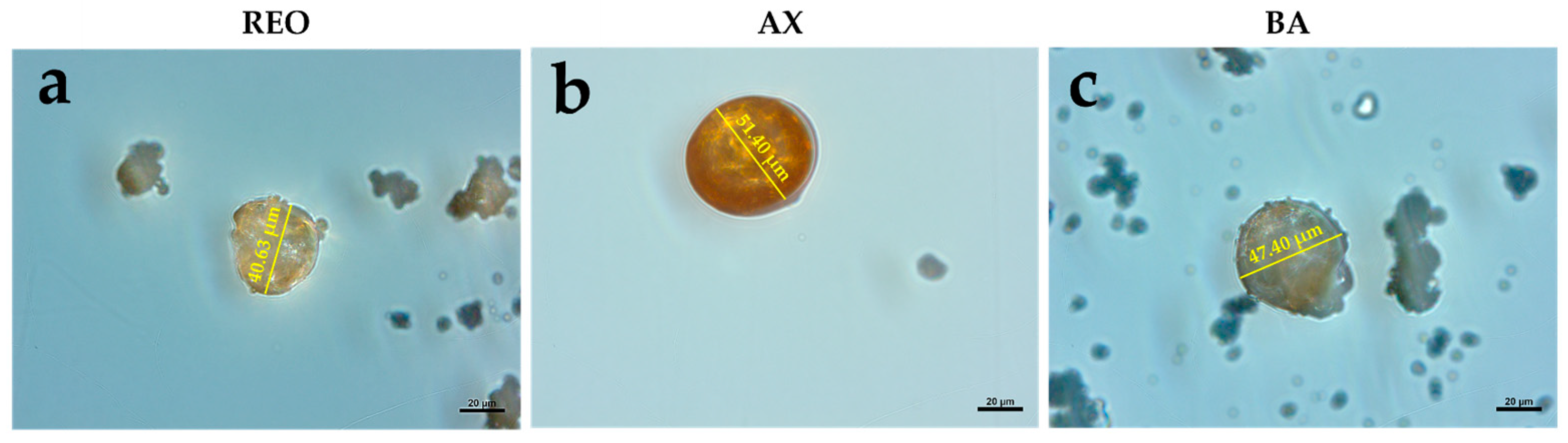 Microencapsulated Functional Additives in Commercial Diets: Effects on ...