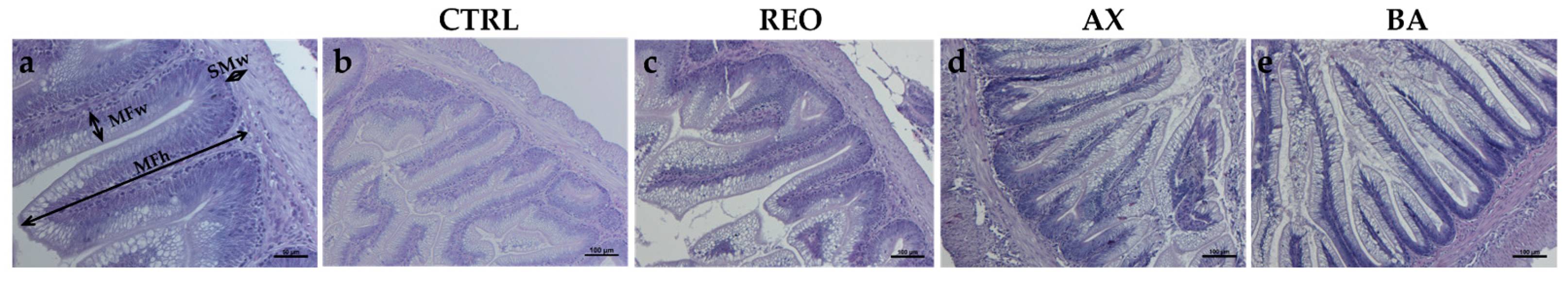 Microencapsulated Functional Additives in Commercial Diets: Effects on ...