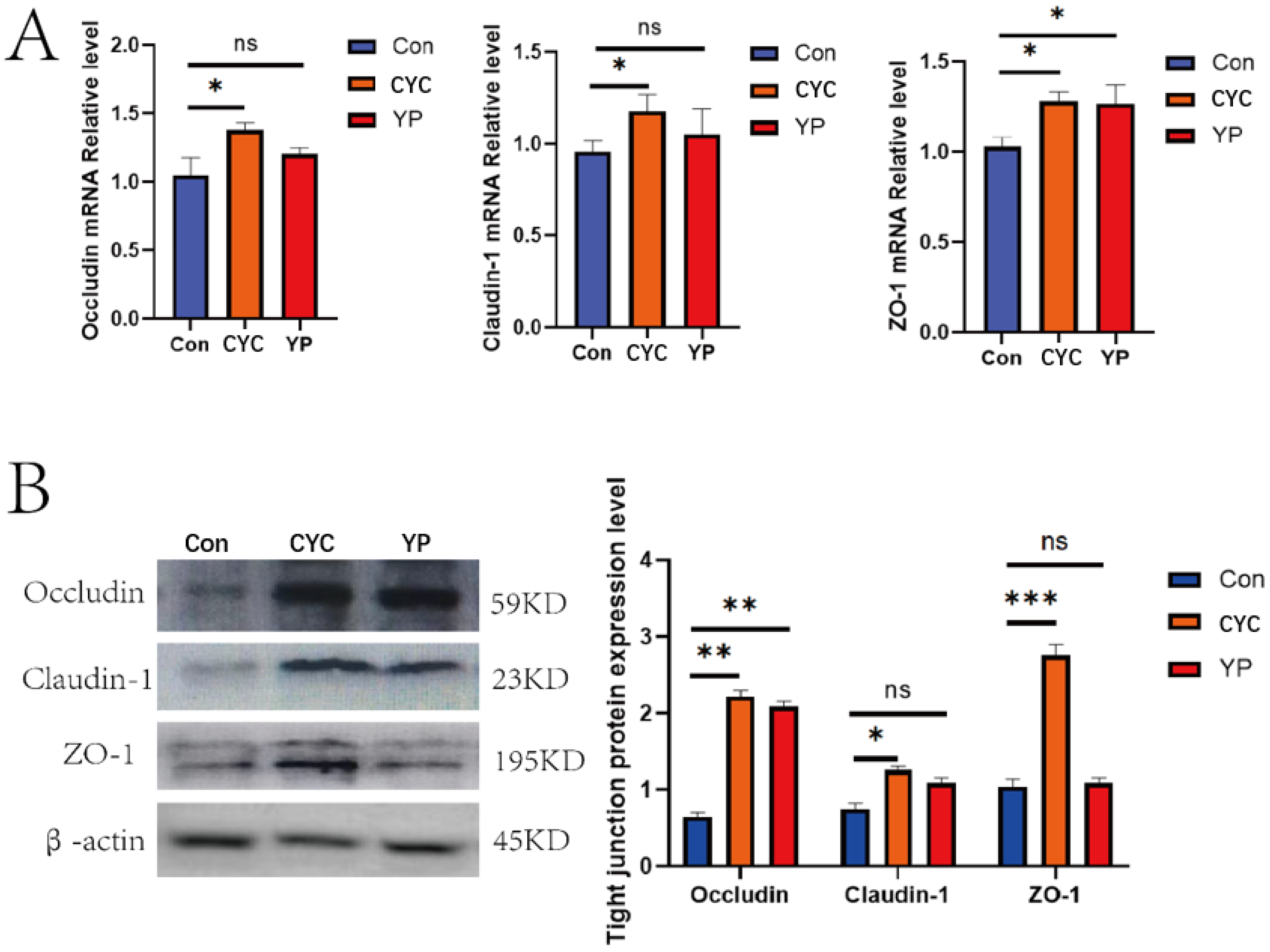 Effects of Compound Yeast Culture and Yeast Cell Wall Polysaccharide on ...