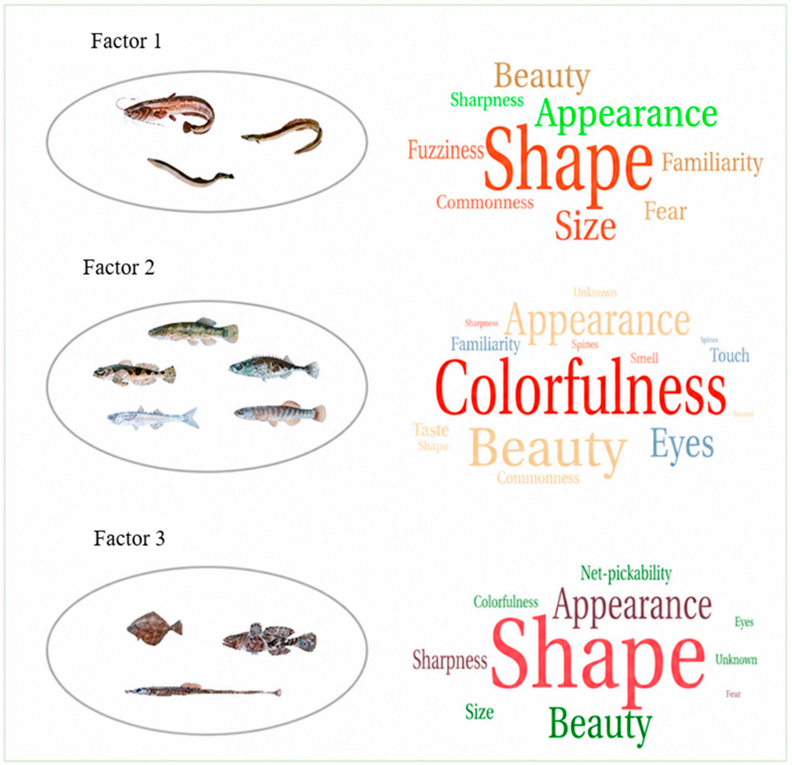 From Beauty to Protection: How Phenotypic Traits Influence Conservation ...