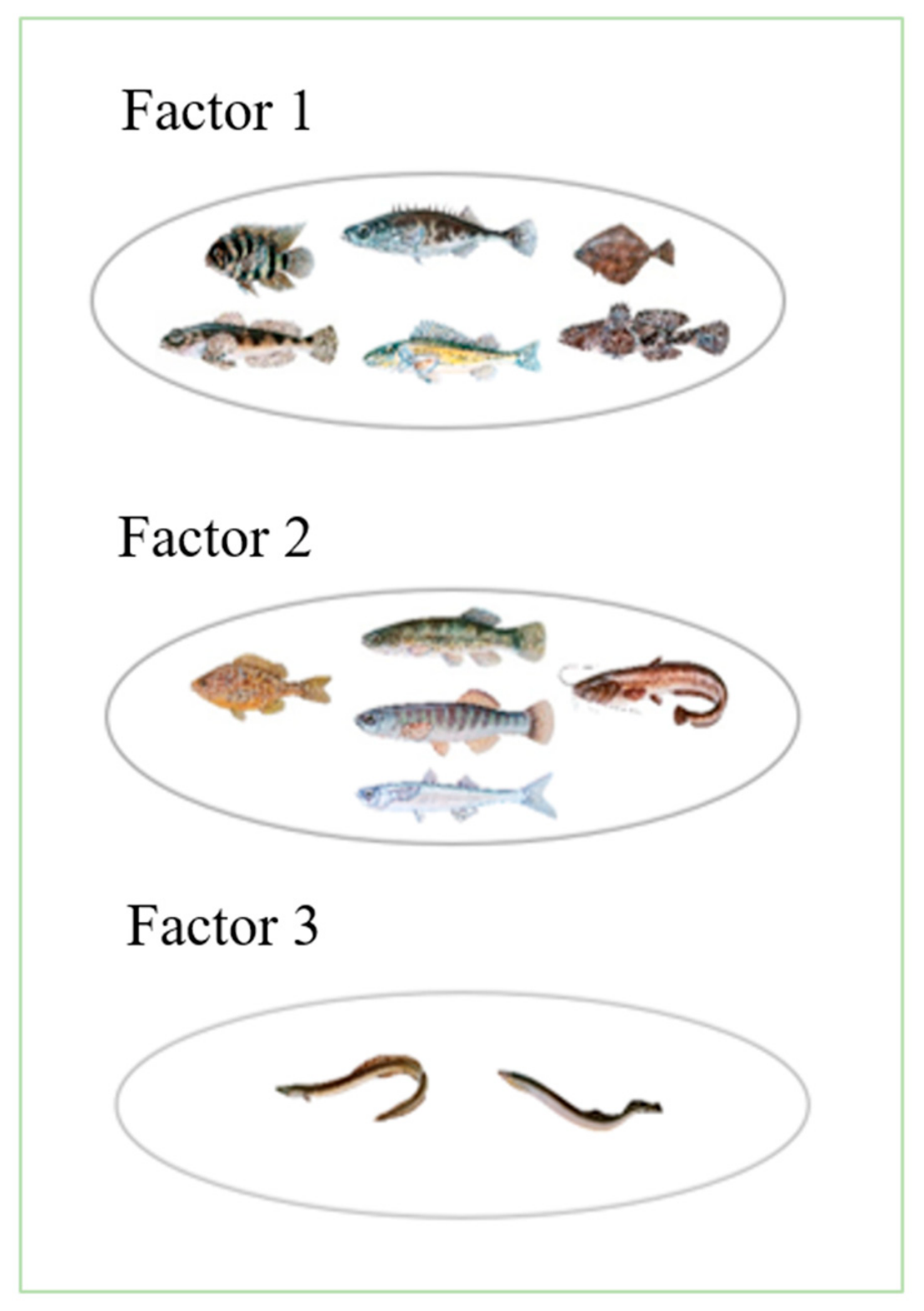 From Beauty to Protection: How Phenotypic Traits Influence Conservation ...