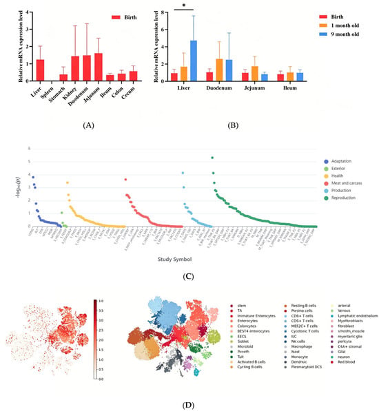 A 20 Bp Indel of HNF4A Is Associated with Piglet Growth Partially by ...