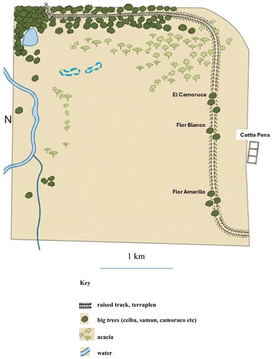 Observations on Anti-Predator Defense Behavior in Feral Horses in Venezuela