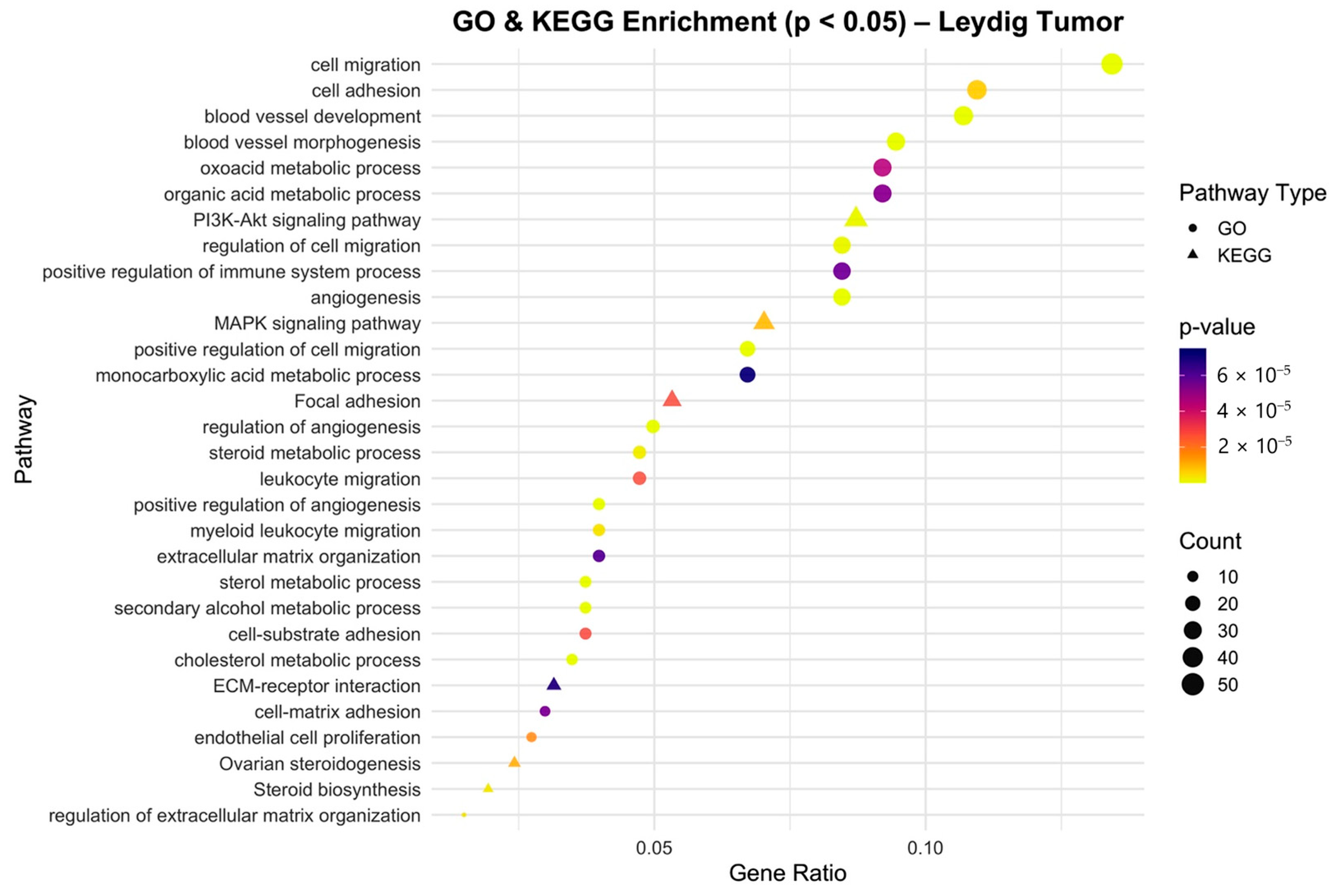 Transcriptomic Profiling of Canine Testicular Leydig Cell Tumors ...
