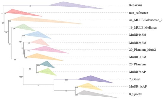 Divergent Evolutionary Profile of MULE Transposons in Arthropods