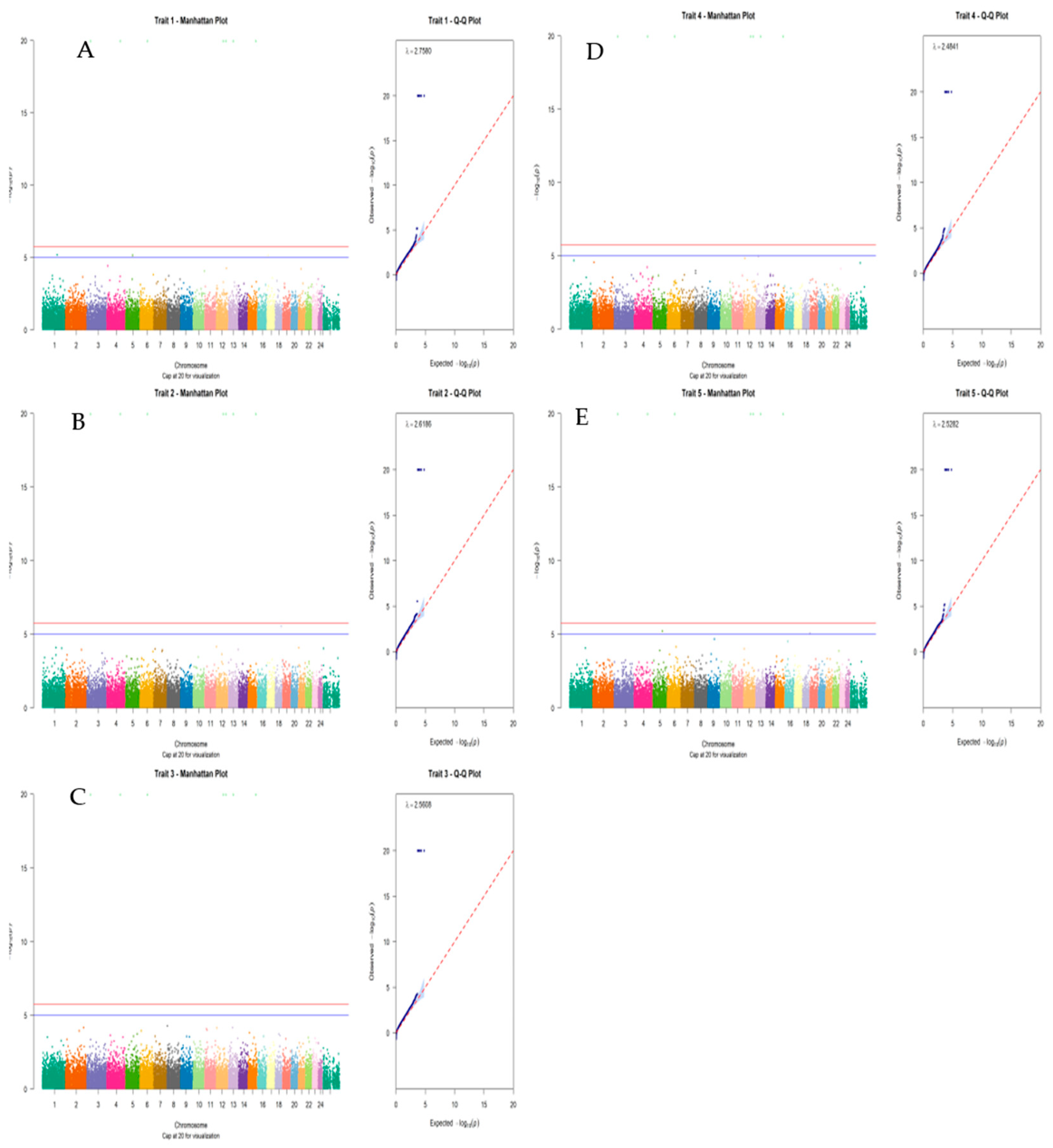 Weighted Single-Step Genomic Evaluation of Body Structural Traits for ...