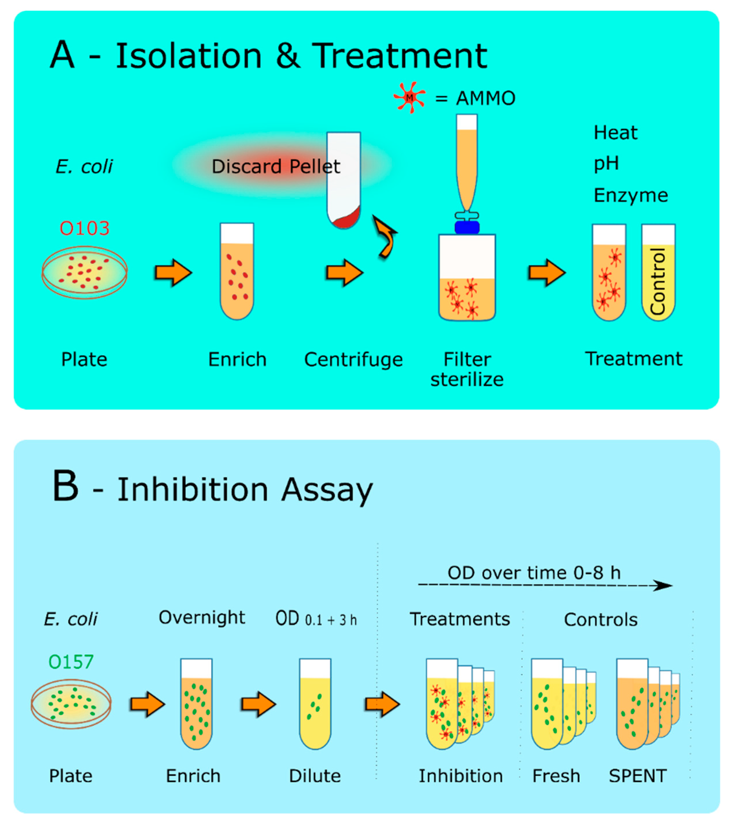Antibiotics Free Full Text Properties Of An Antimicrobial Molecule Antibiotics Free Full Text Properties Of An Antimicrobial Molecule