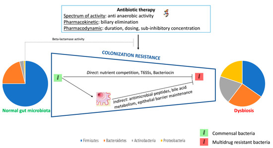 Antibiotics | Free Full-Text | Antimicrobial Stewardship Program ...