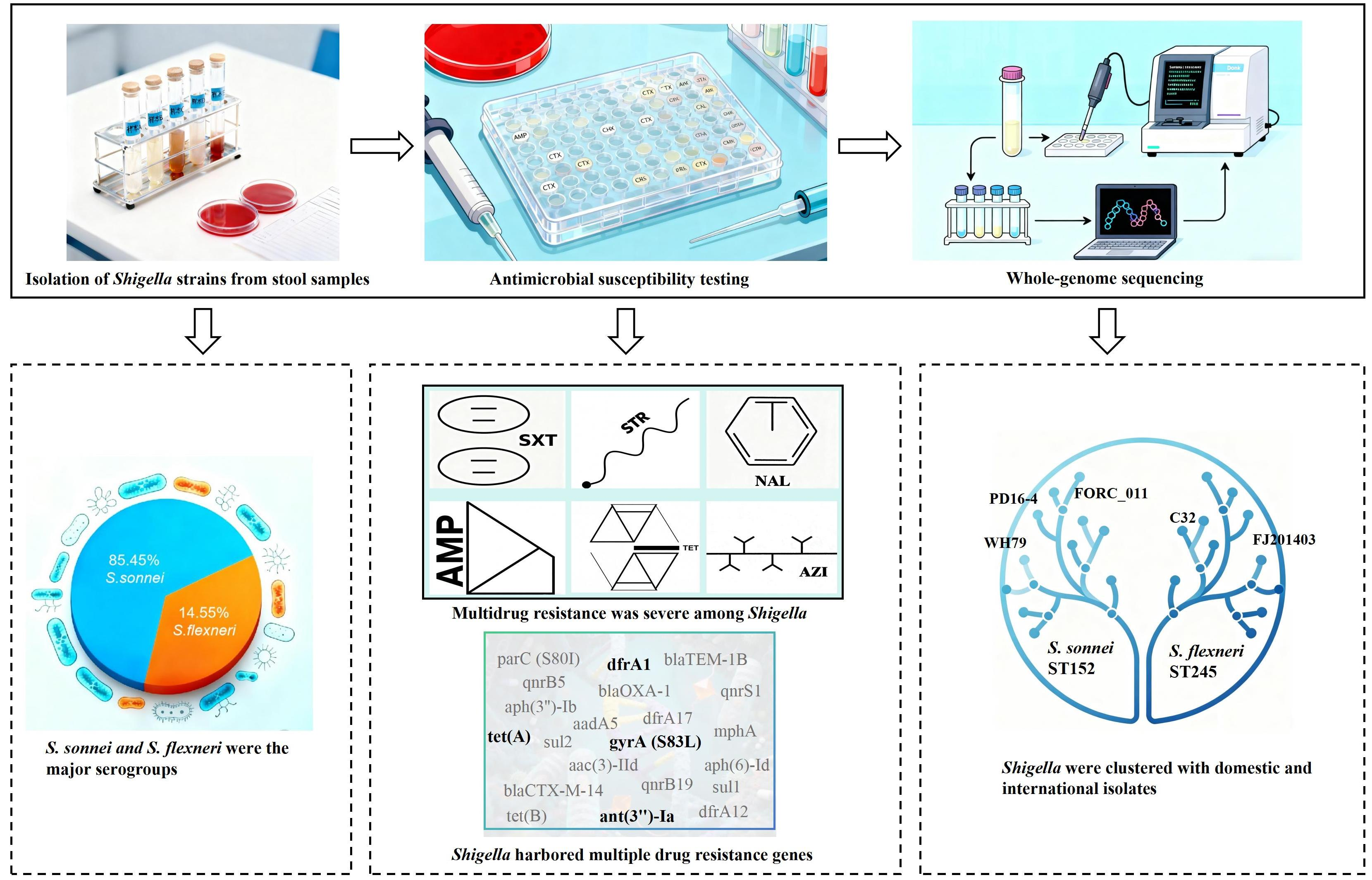 Epidemiological Characteristics, Antibiotic Resistance Patterns and ...