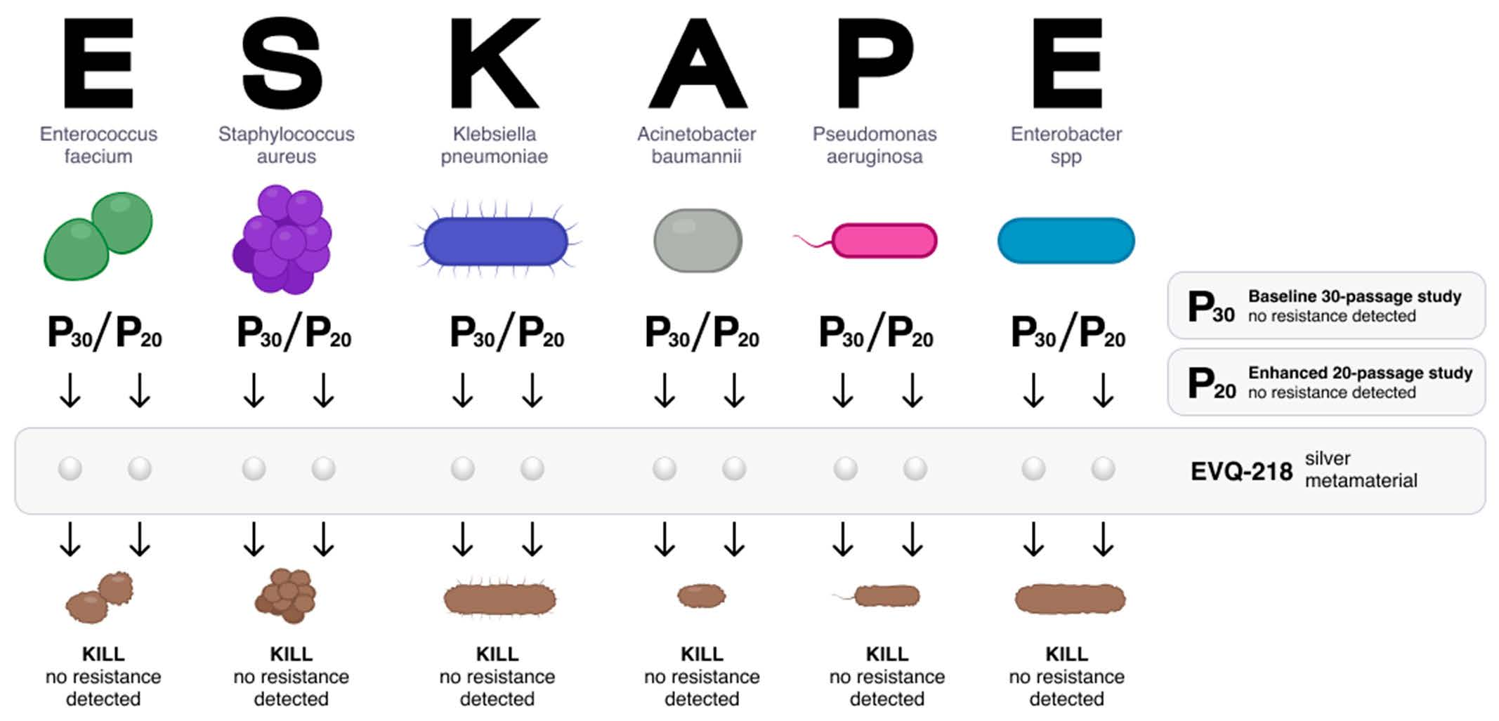 Escaping the ESKAPE Antimicrobial Resistant Cycle with EVQ-218