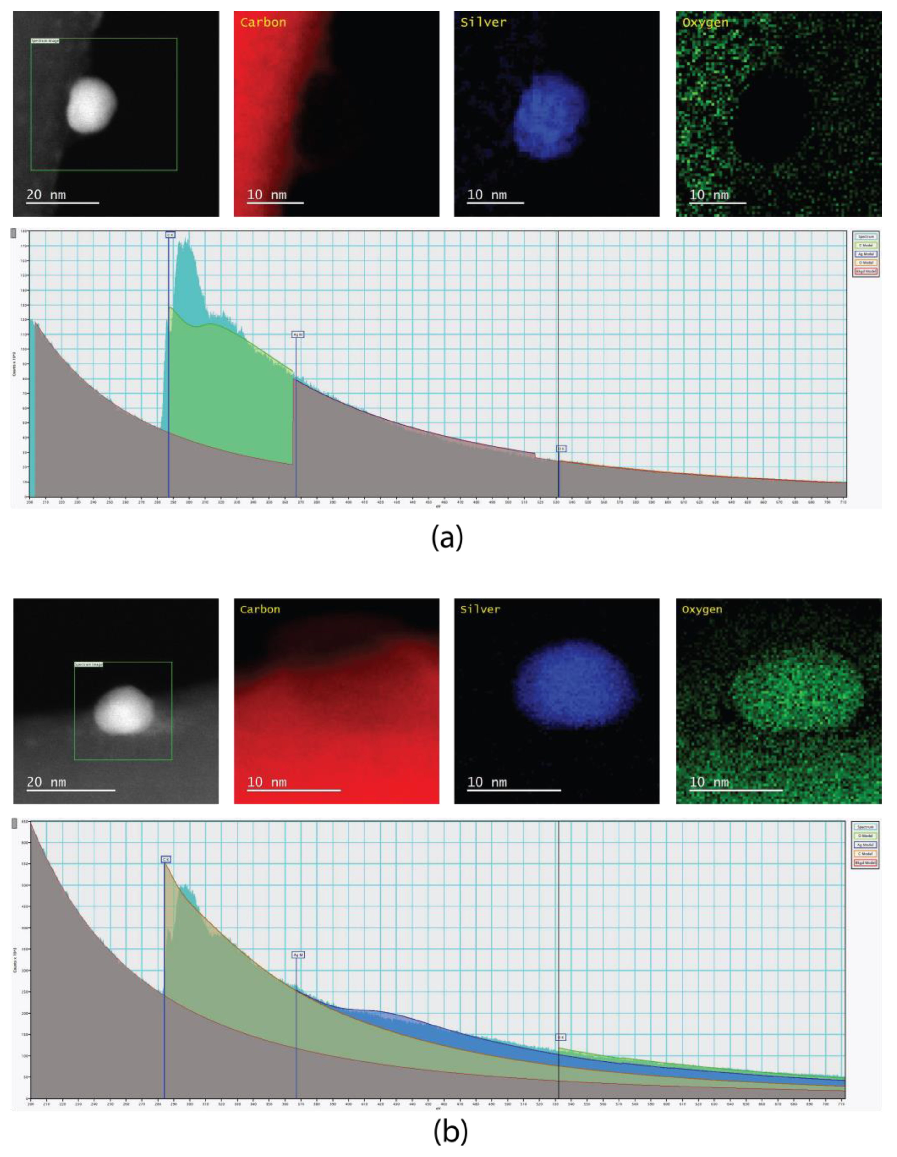 Escaping the ESKAPE Antimicrobial Resistant Cycle with EVQ-218